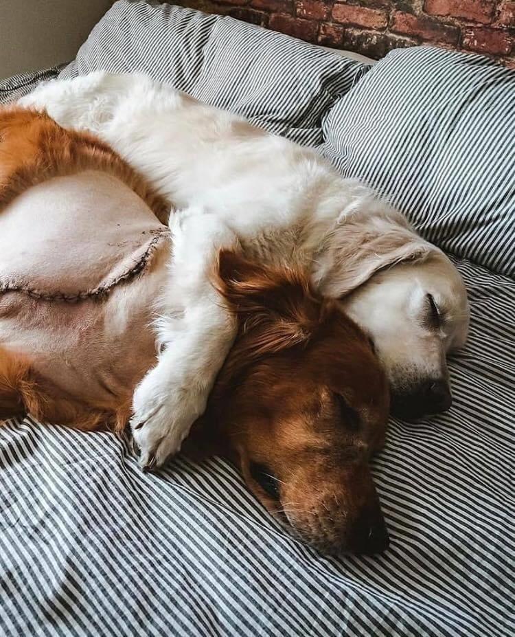 friend forever | Scrolller