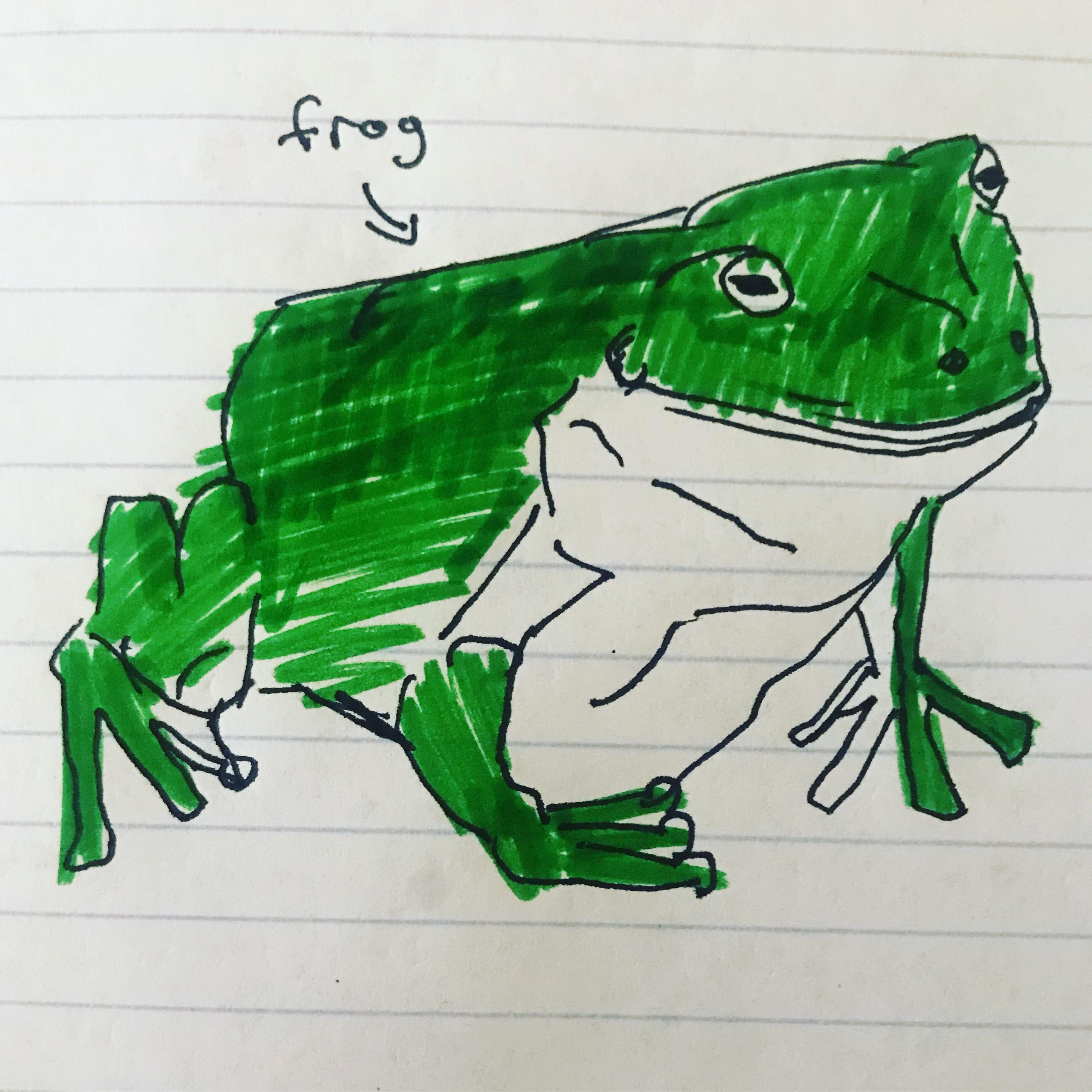 Frog⬇️ | Scrolller