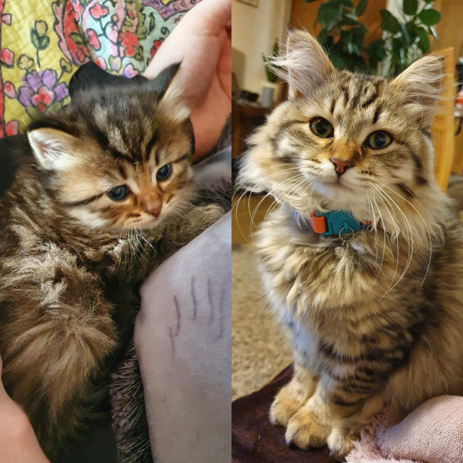 From lil bean to big bean | Scrolller