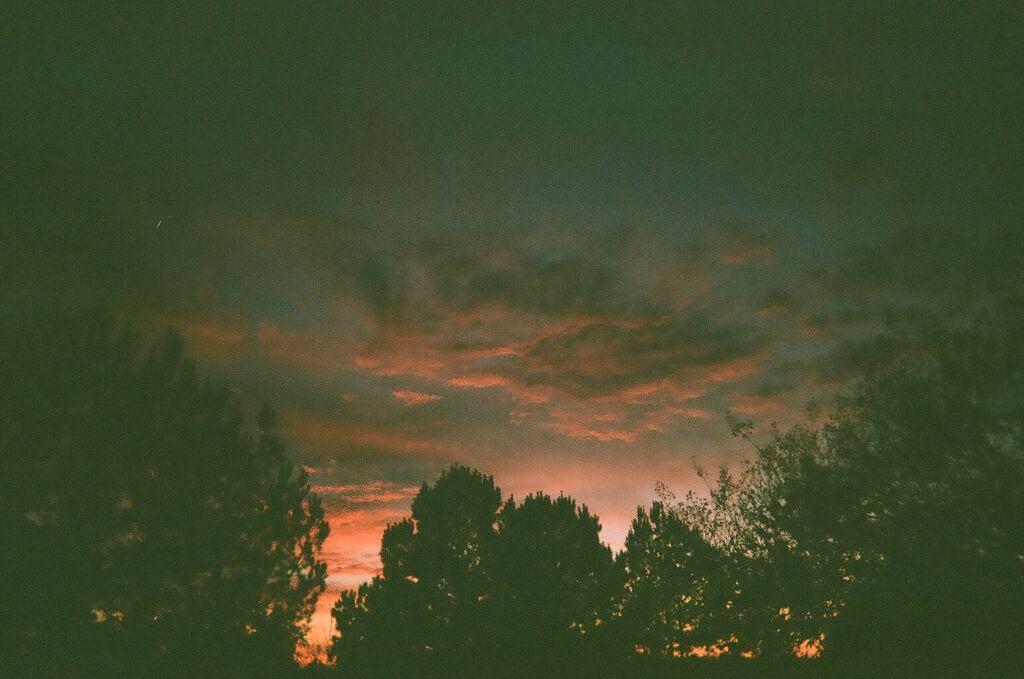 from my disposable last year | Scrolller