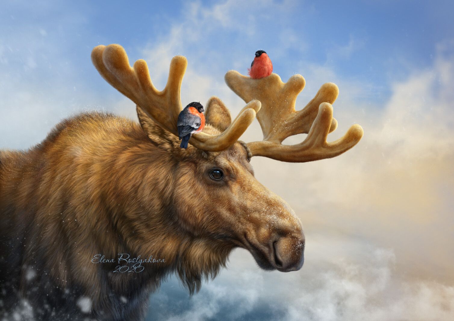 Frost and Sun by Elena Roslyakova | Scrolller