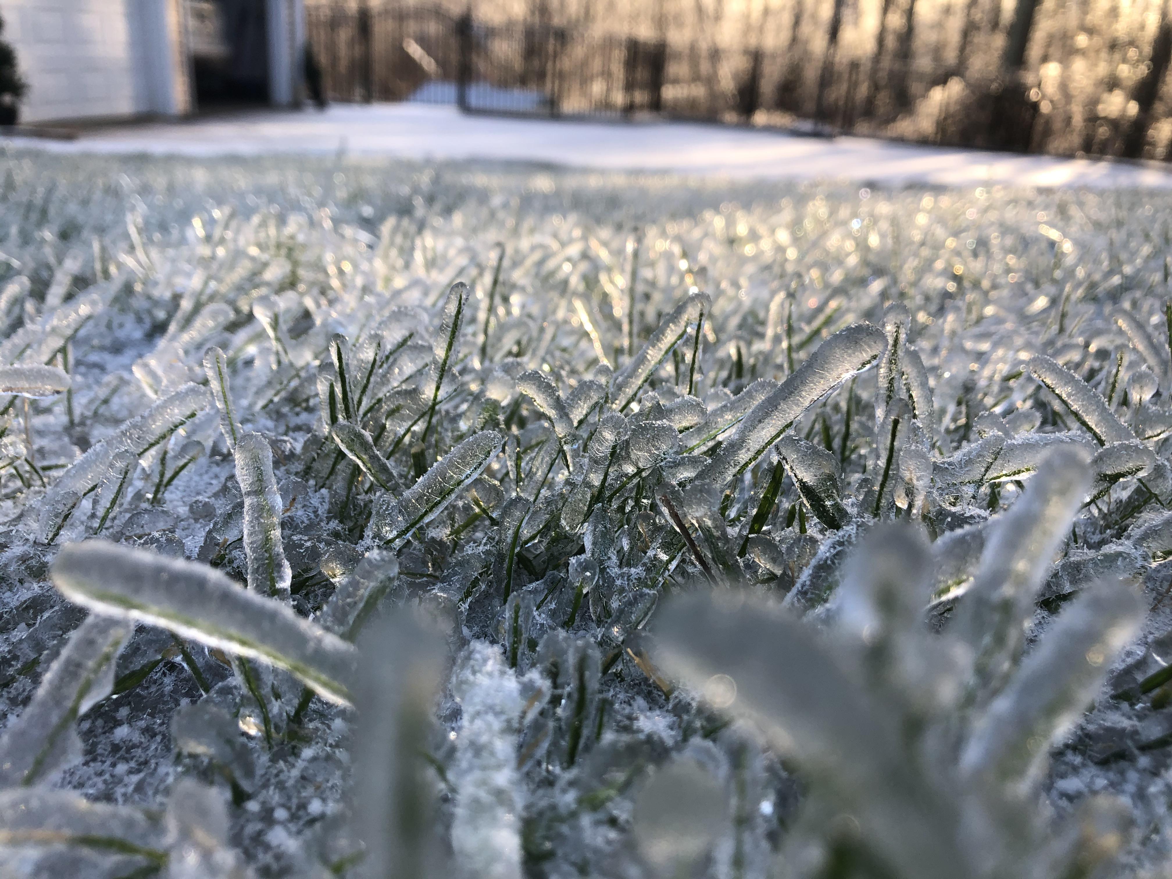 Frozen grass in Connecticut | Scrolller