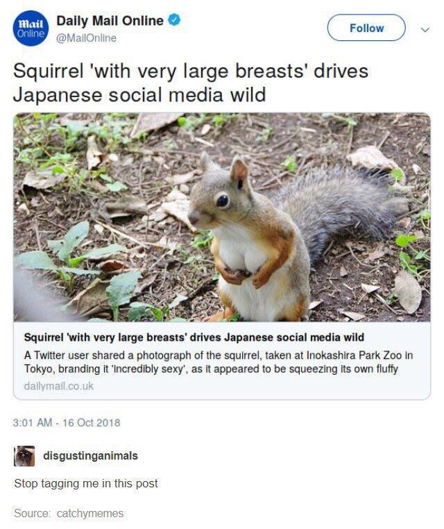 Fucking disgusting slut flashing her tits | Scrolller