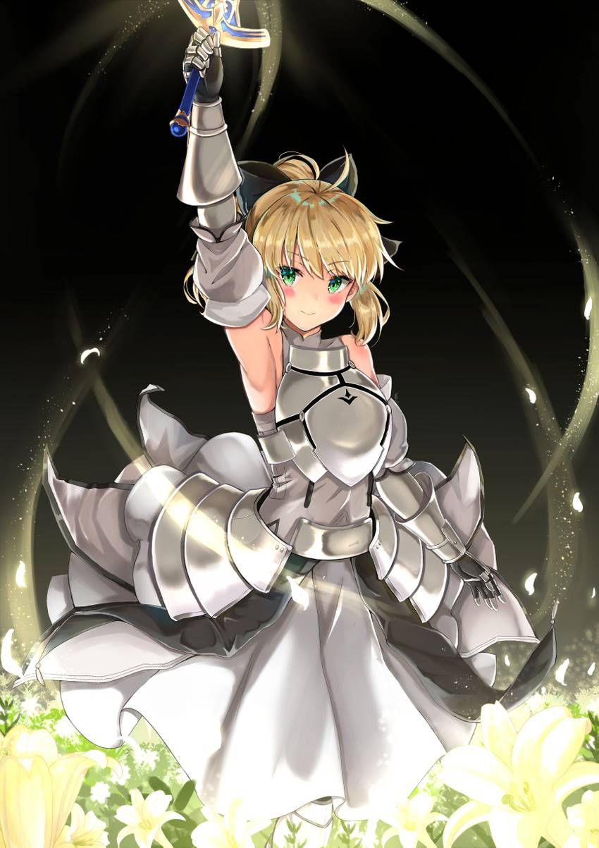 Full Armor Armpit - Saber Lily | Scrolller