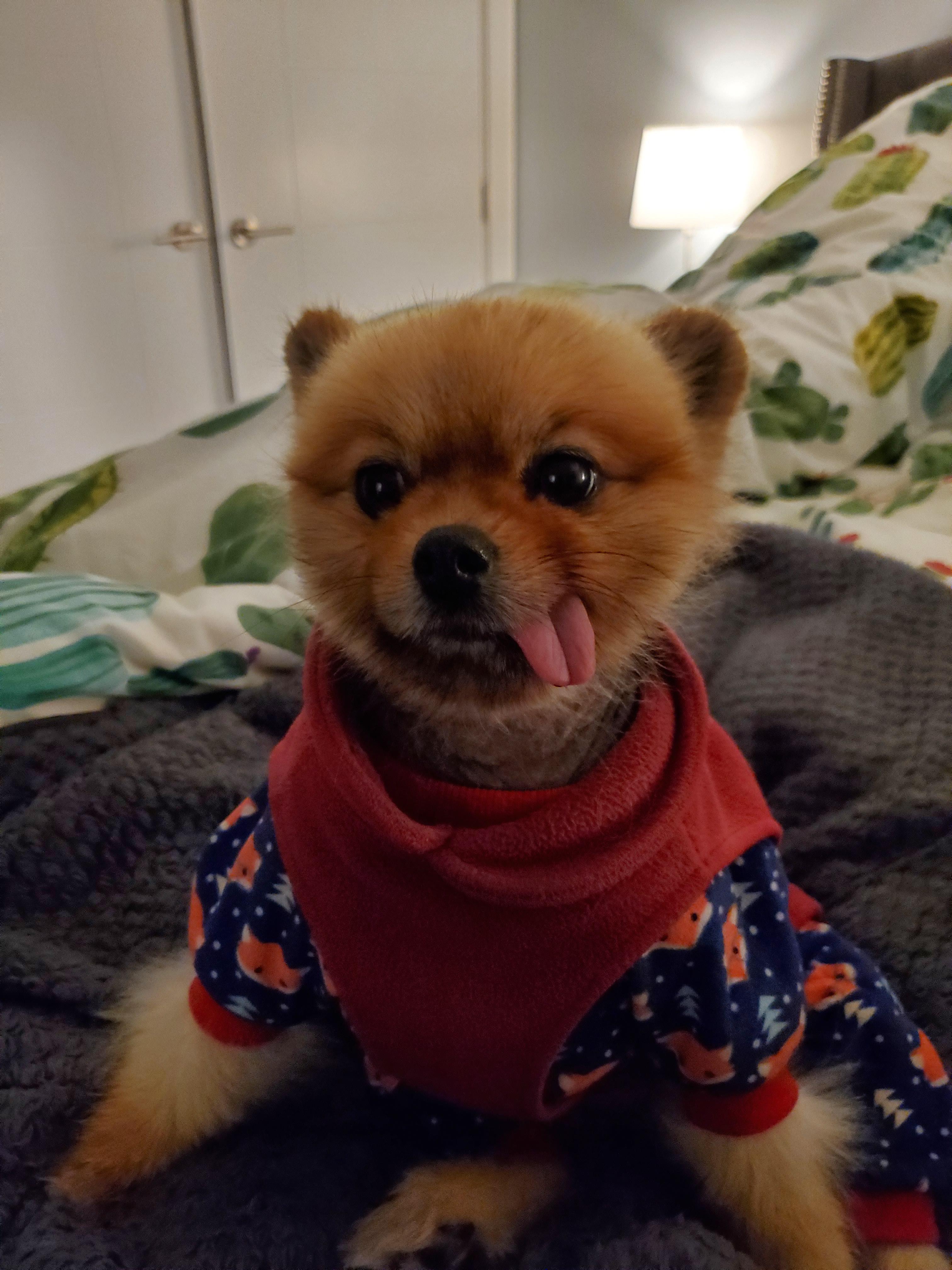 Full Derp 👅 | Scrolller