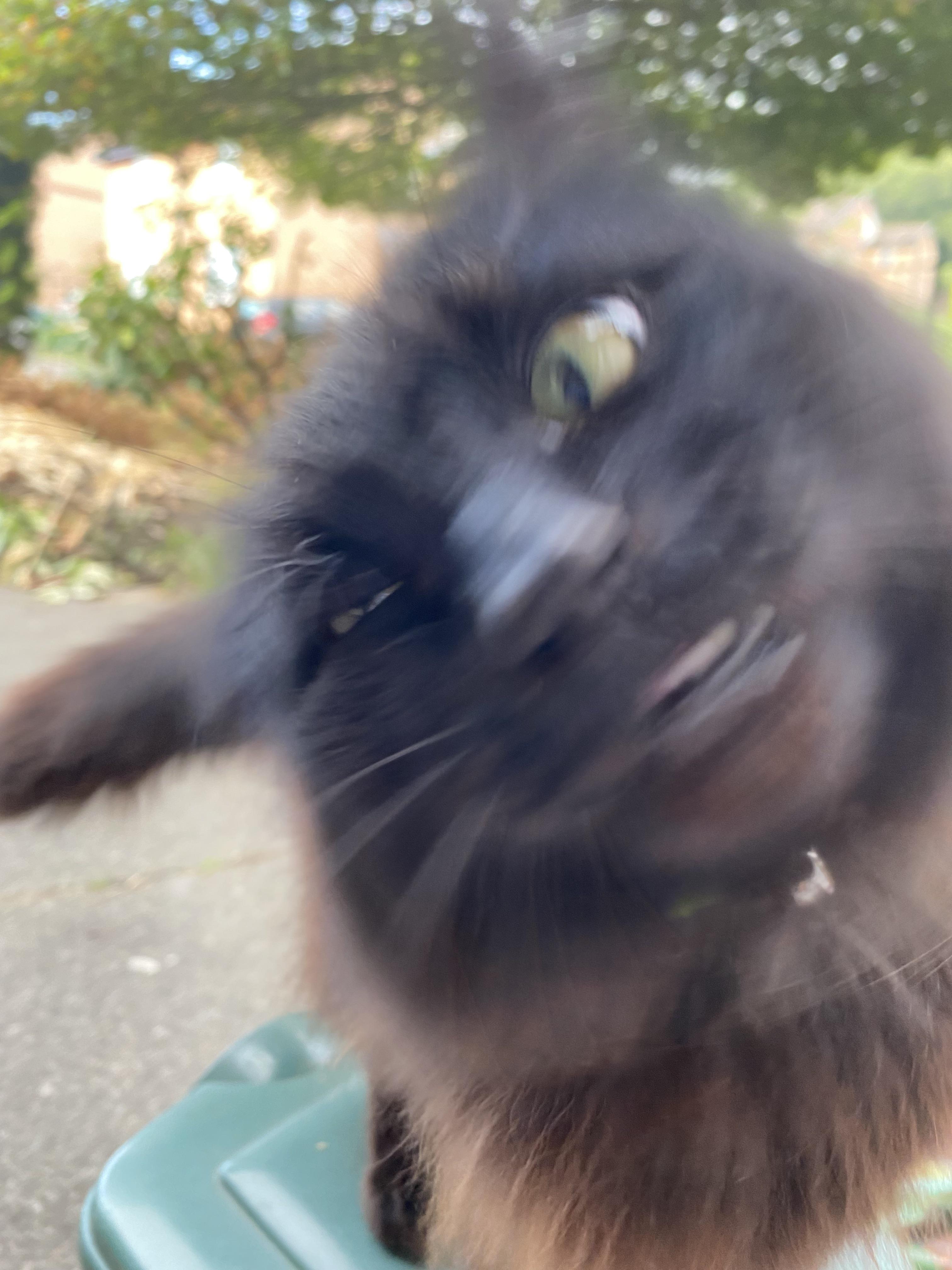 Full Derp | Scrolller