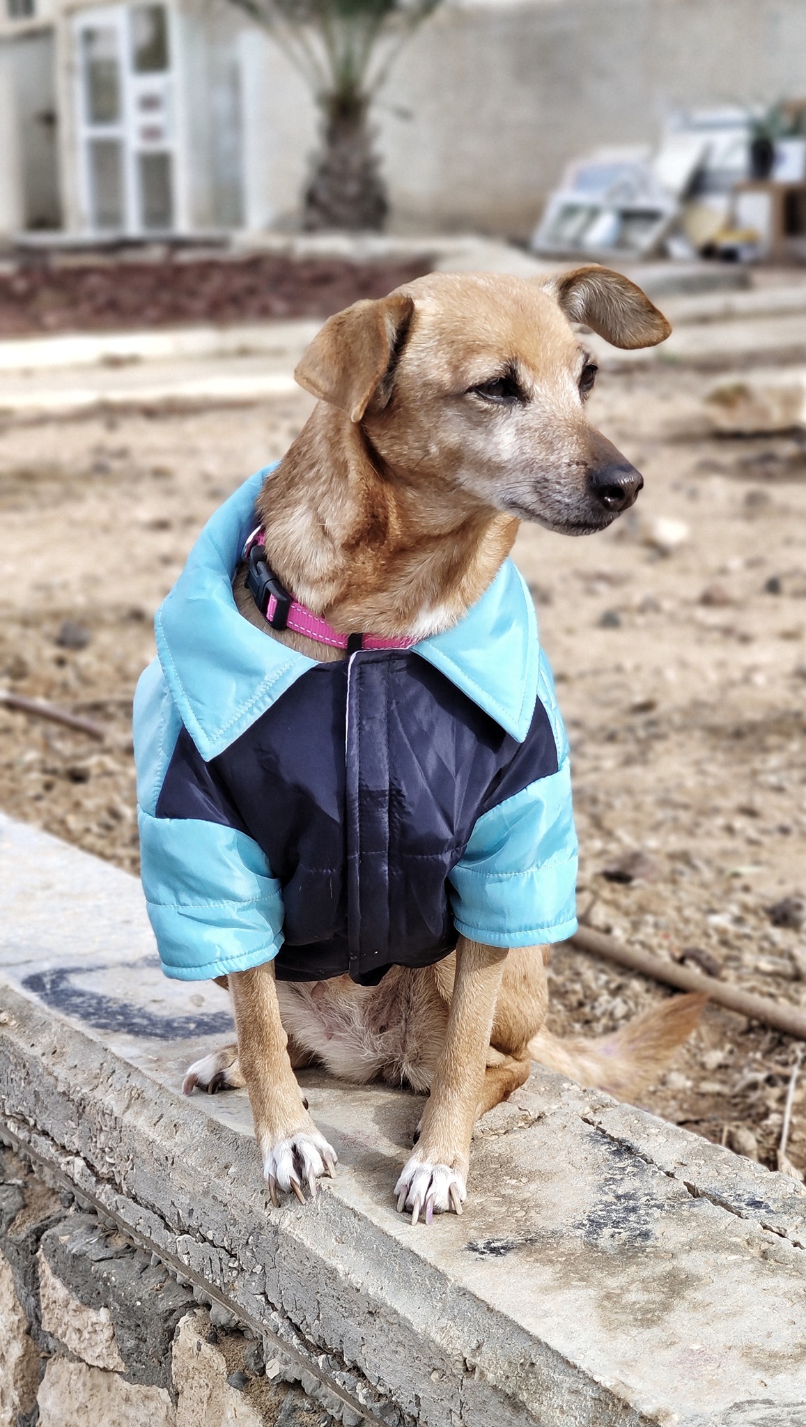 full focus | Scrolller