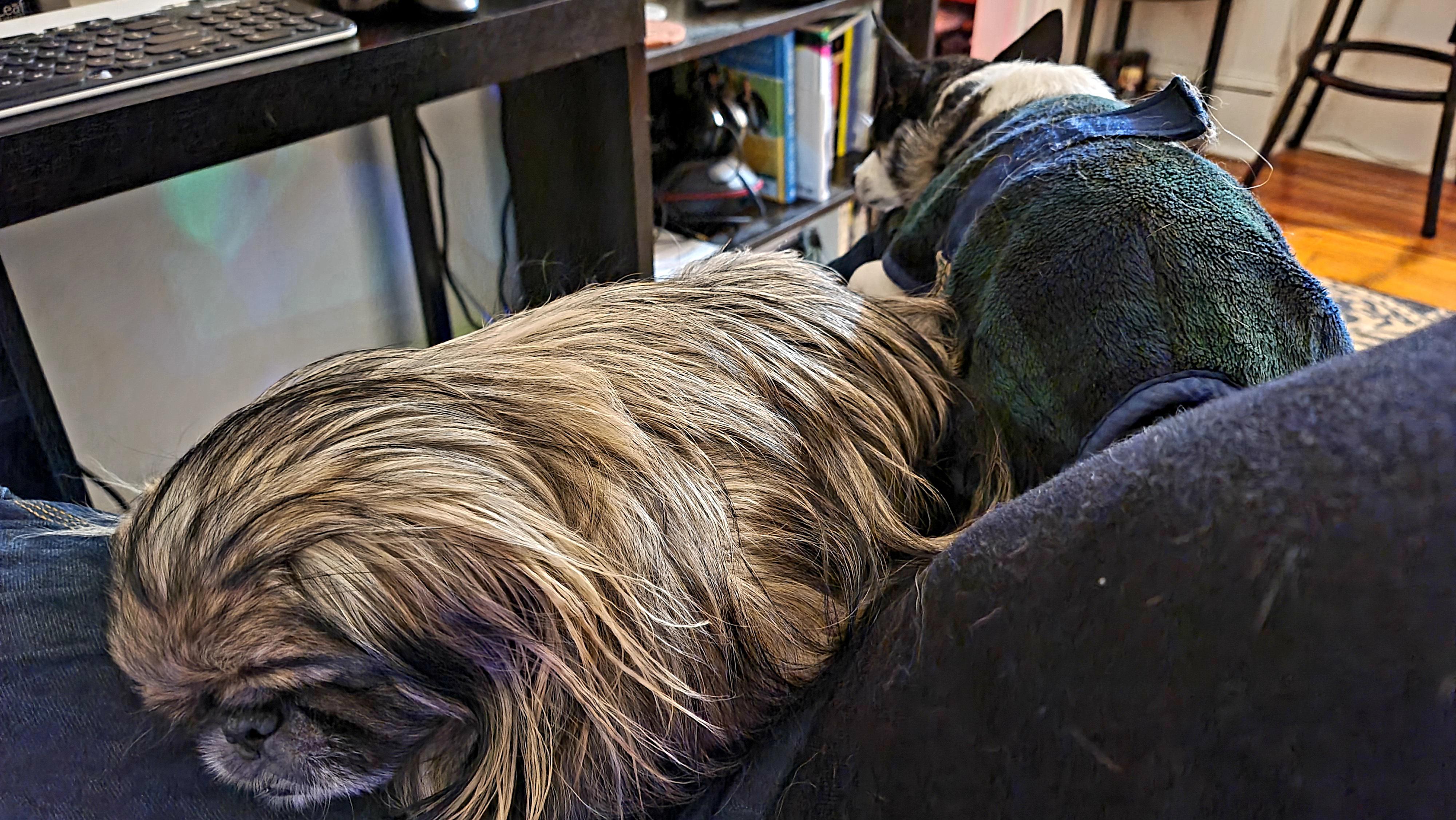 Full lap | Scrolller