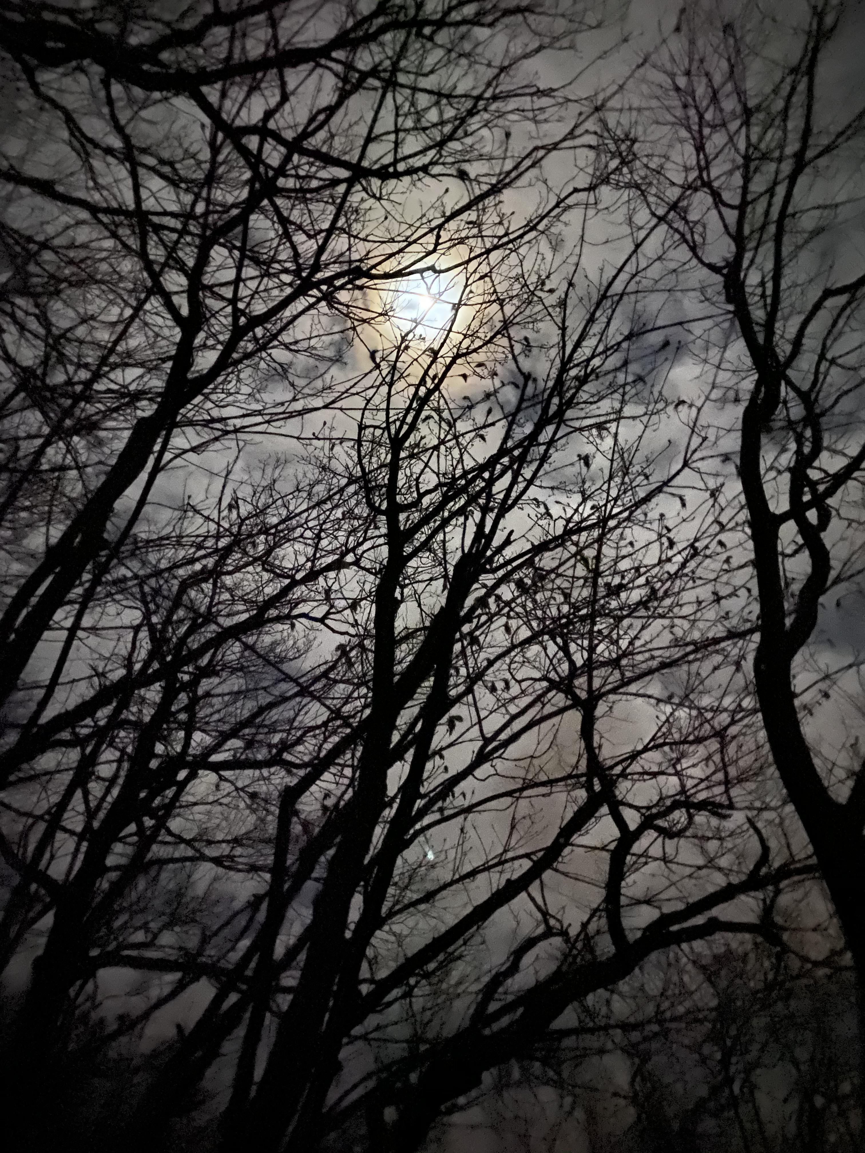 Full Moon | Scrolller