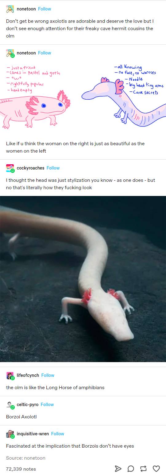 Fun axolotl fact of the day: Axolotls are neotenic species, which means ...