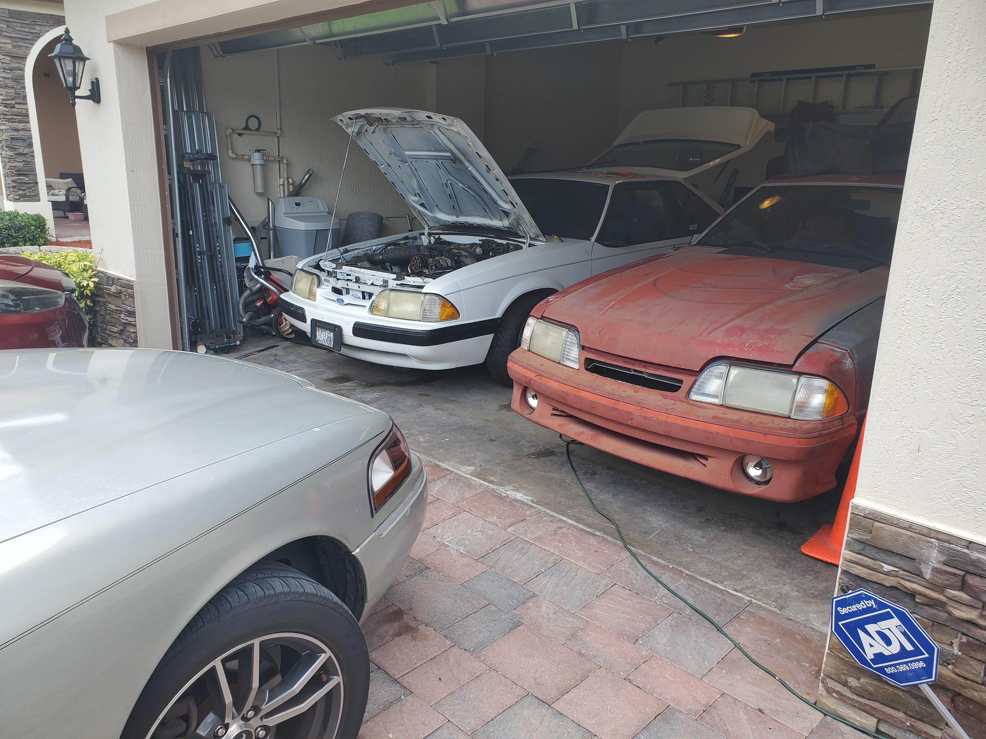 Fun summer ahead | Scrolller