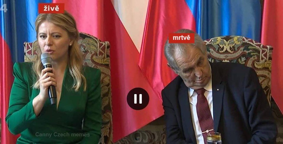 Funny title | Scrolller