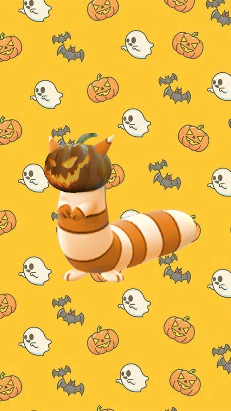 Furret is trying to be spooky, don't mind him | Scrolller