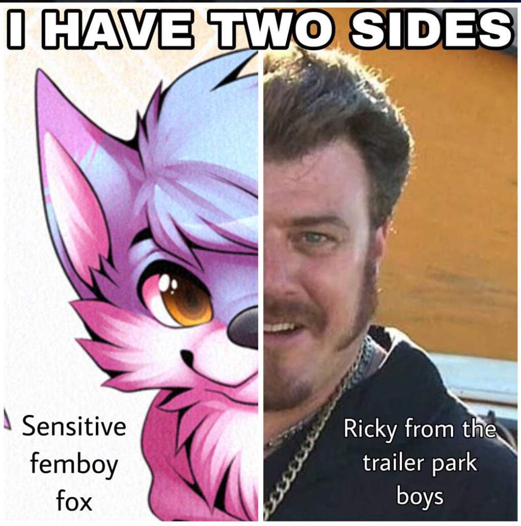 Furry_irl | Scrolller
