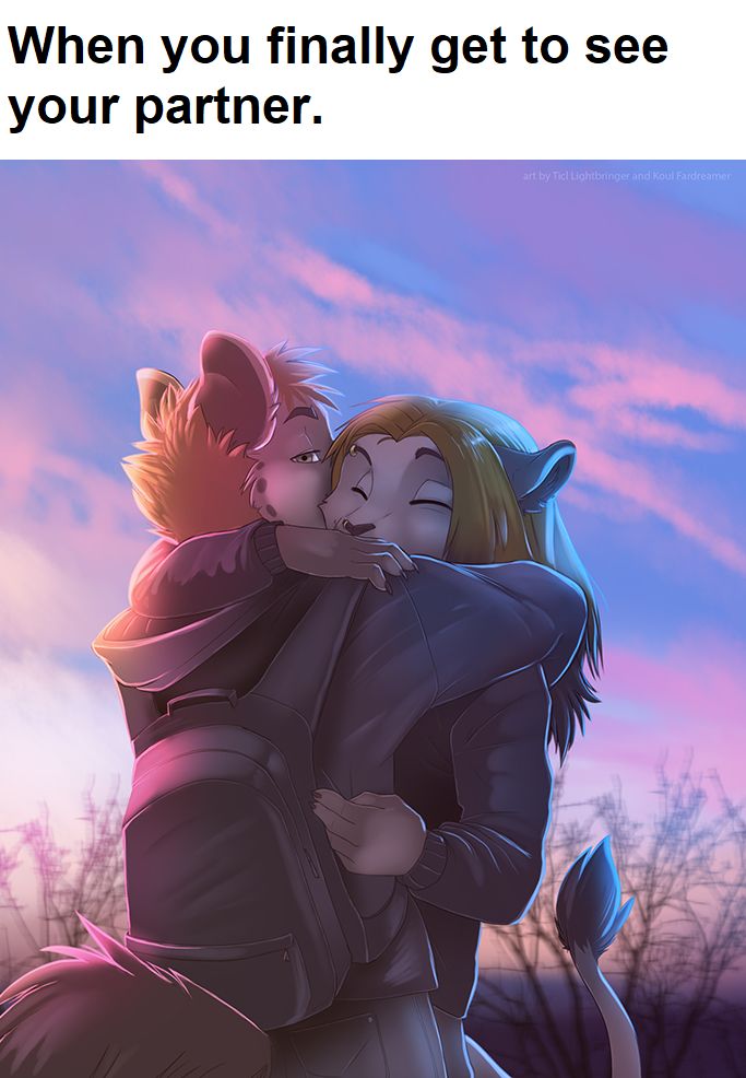 furry_irl | Scrolller