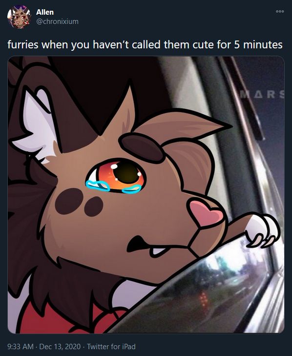 furry_irl | Scrolller