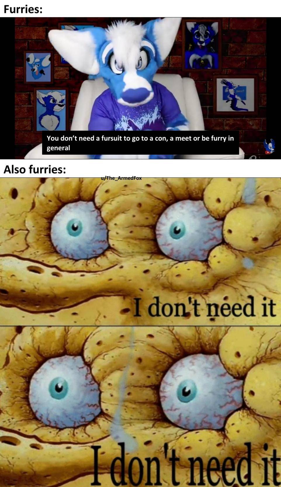 Furry_irl | Scrolller