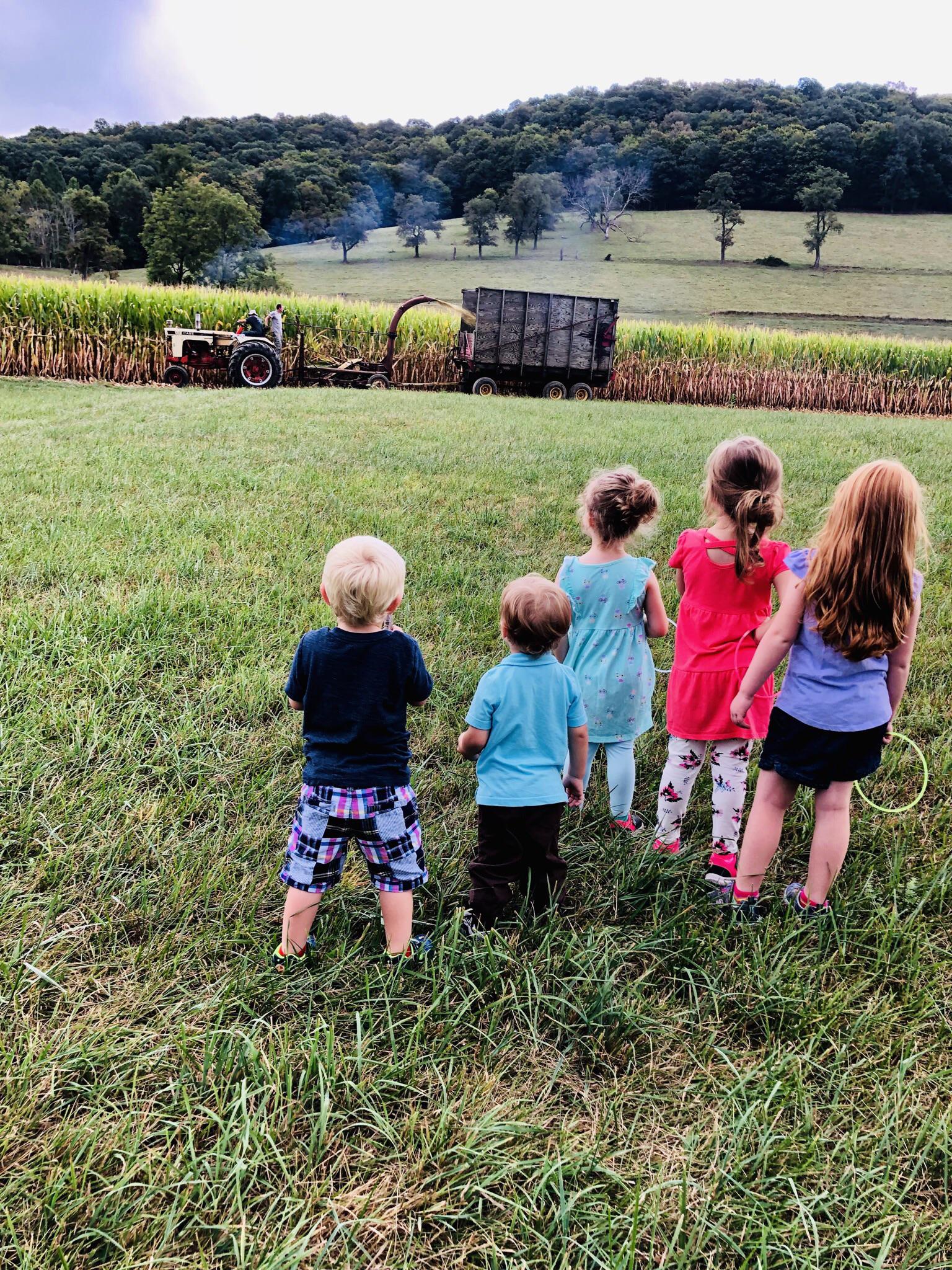 Future generations checking it out. | Scrolller