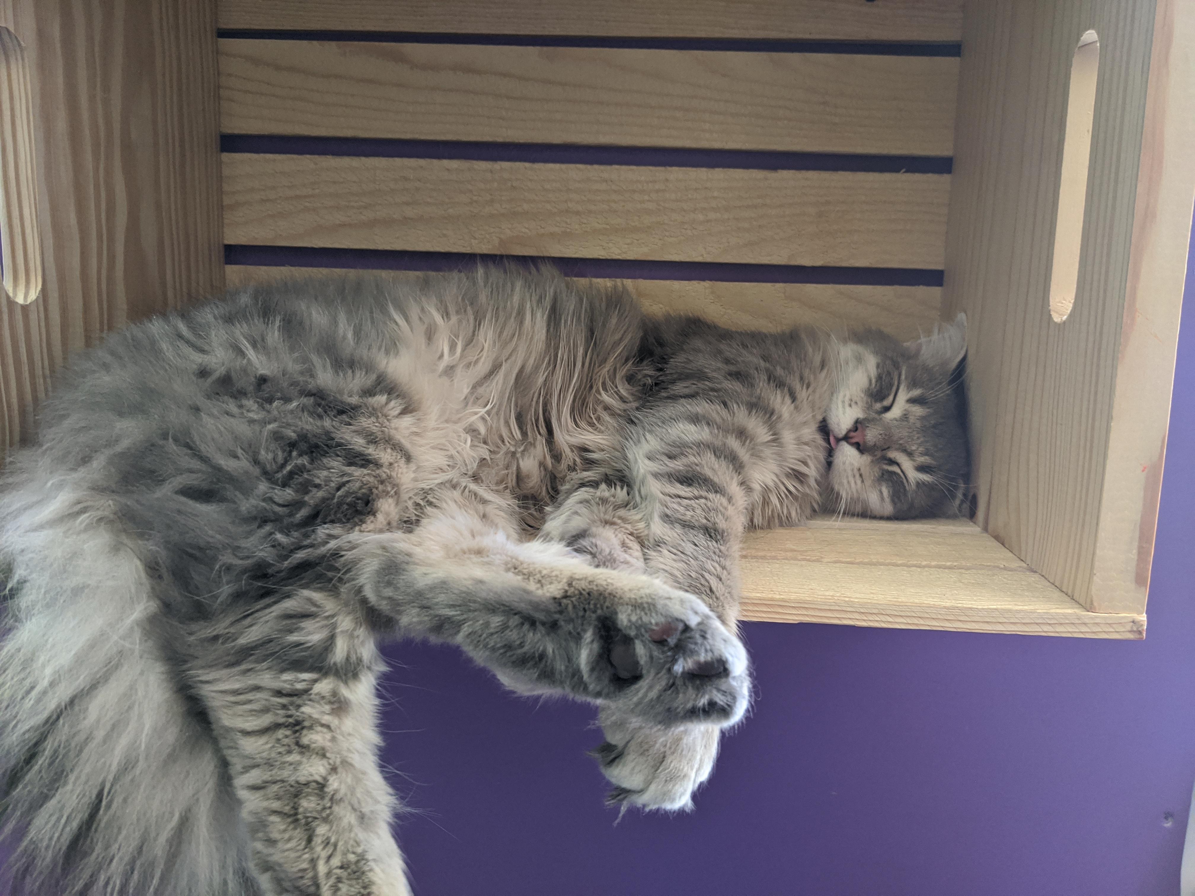 Fuzzy beans | Scrolller