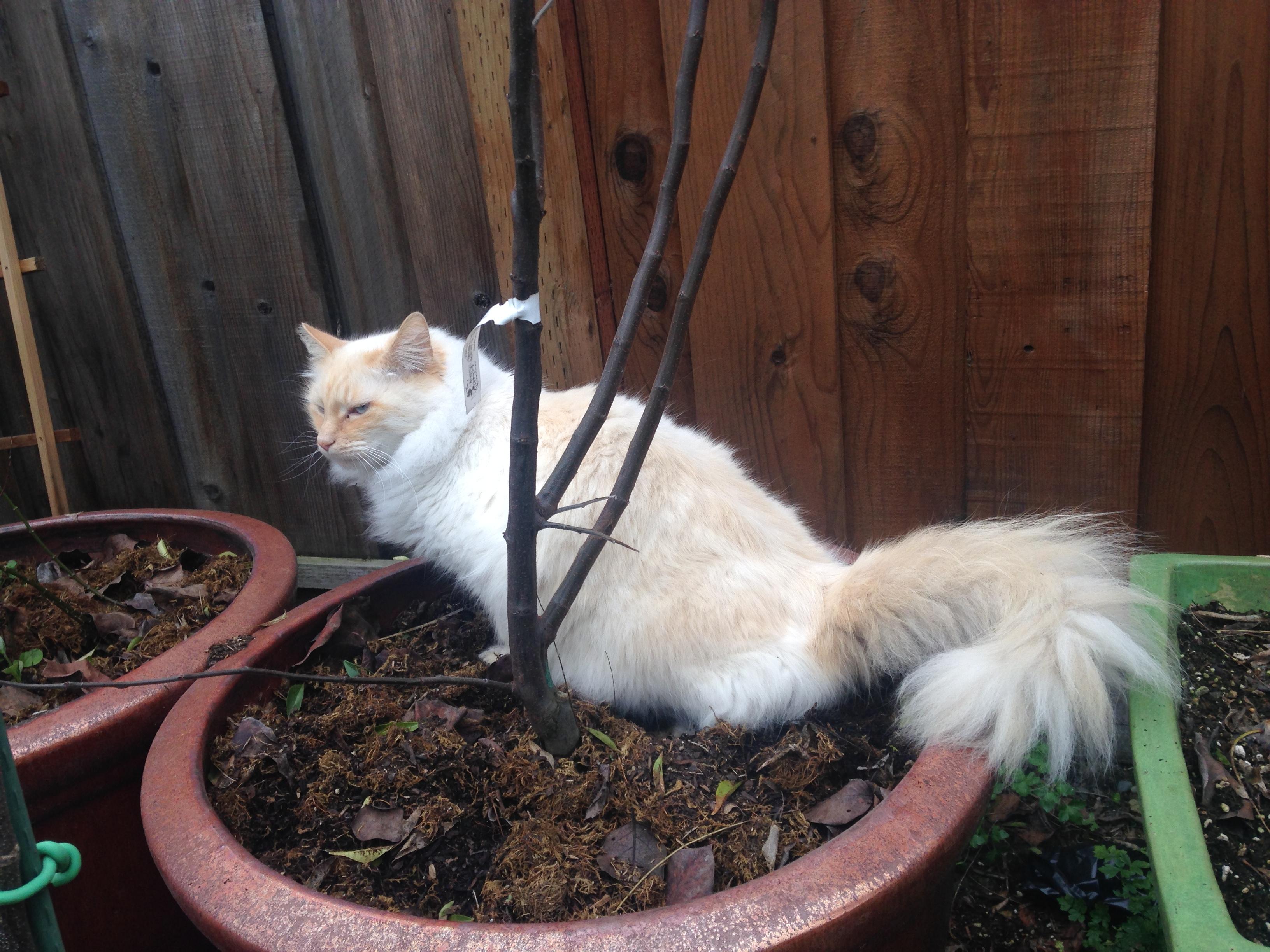 Gardening is his passion | Scrolller