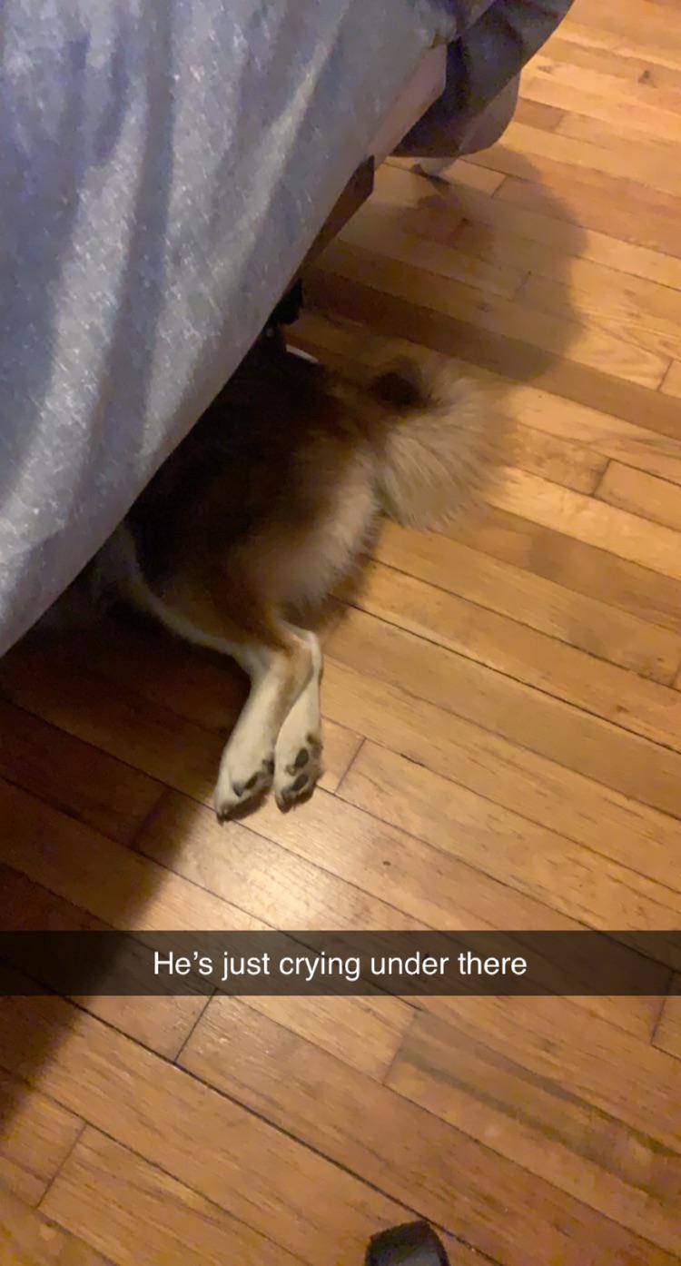 Gary is sad | Scrolller