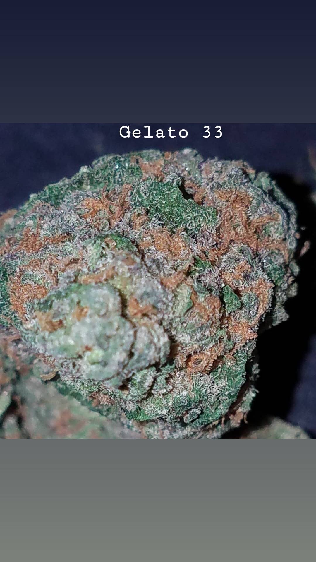 Gelato 33. | Scrolller