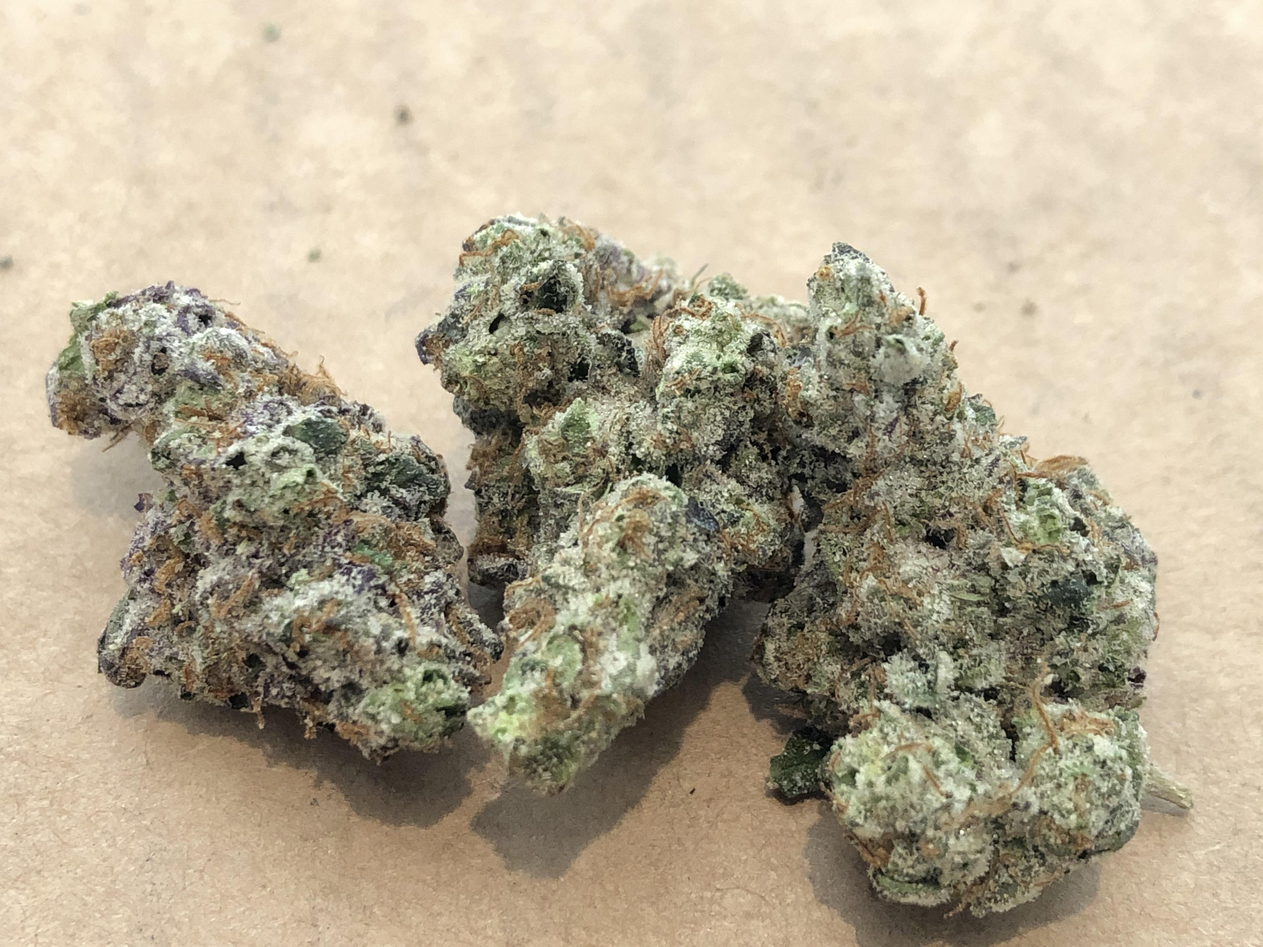 Gelatti // Togo Weed // September | Scrolller