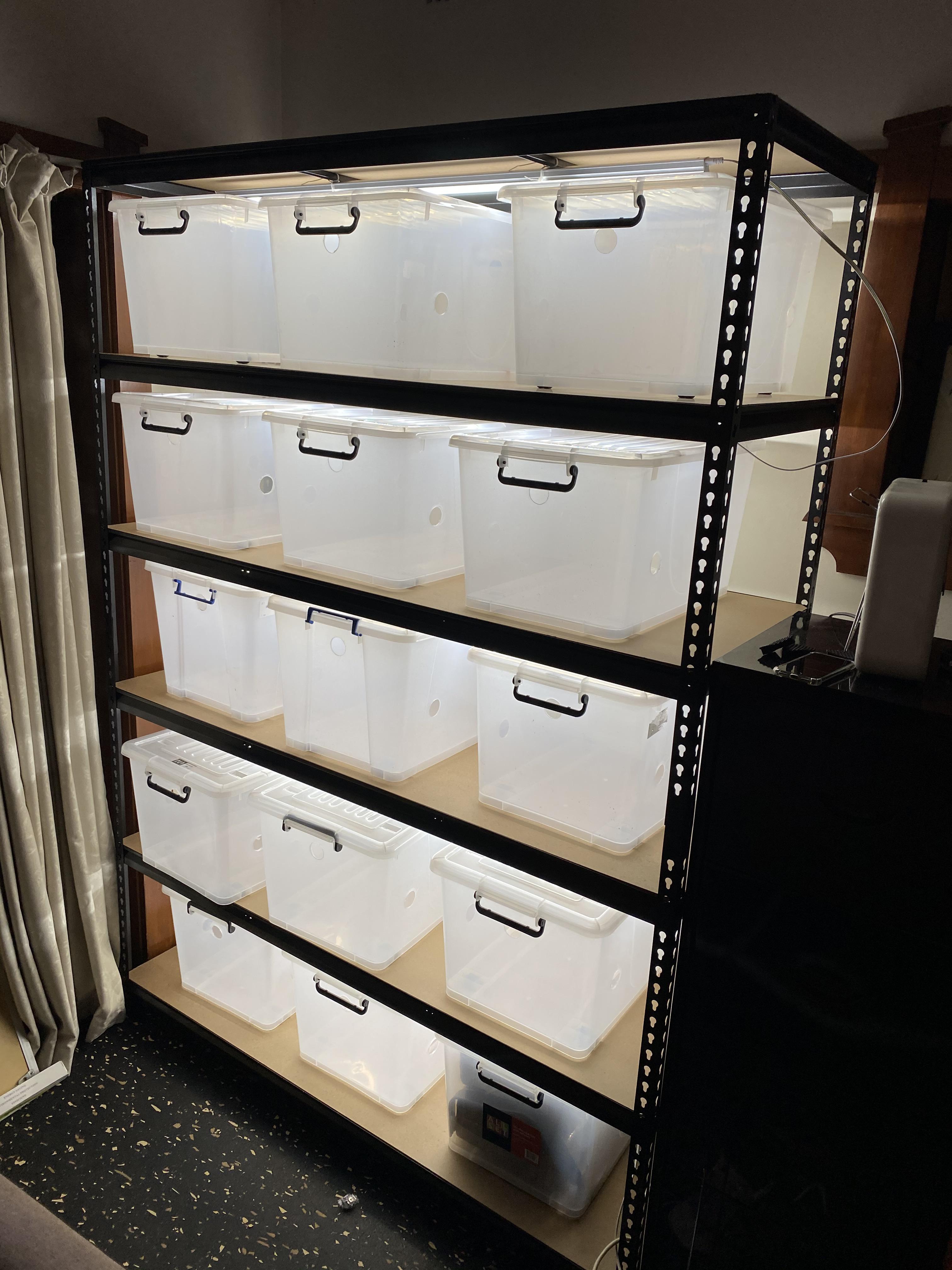 General Latest Project Scrolller