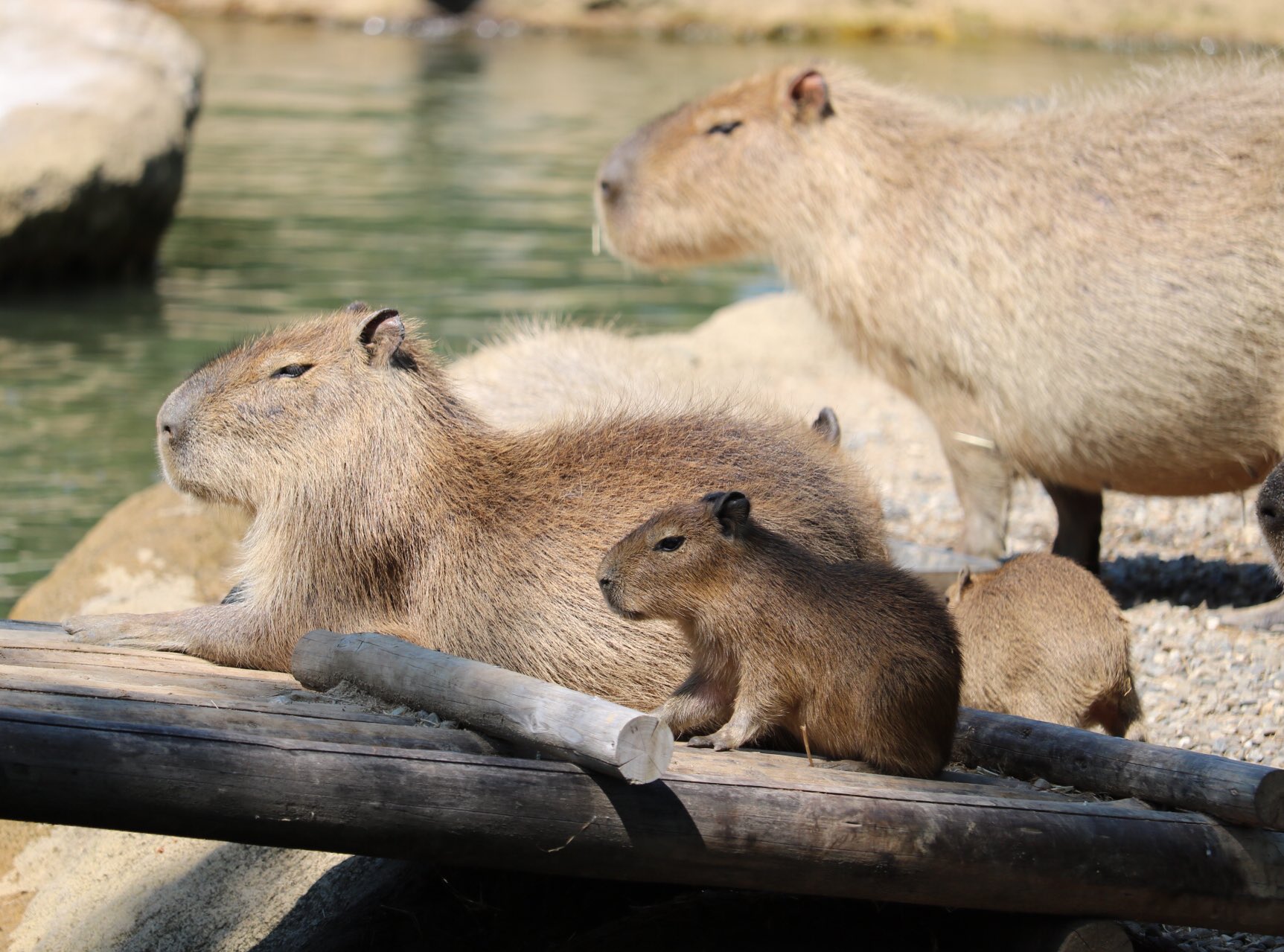 Generational | Scrolller