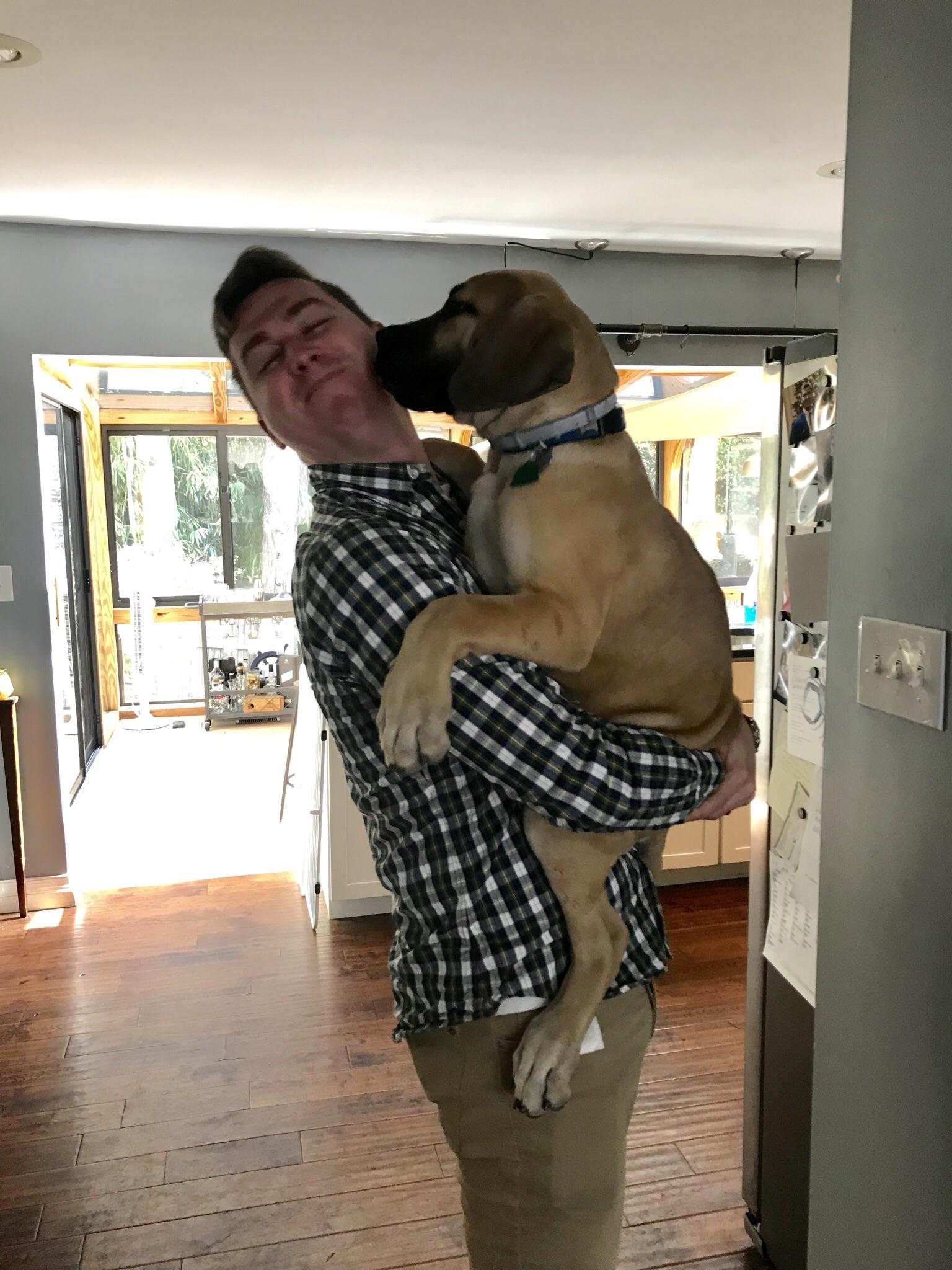 George and his giant paws | Scrolller