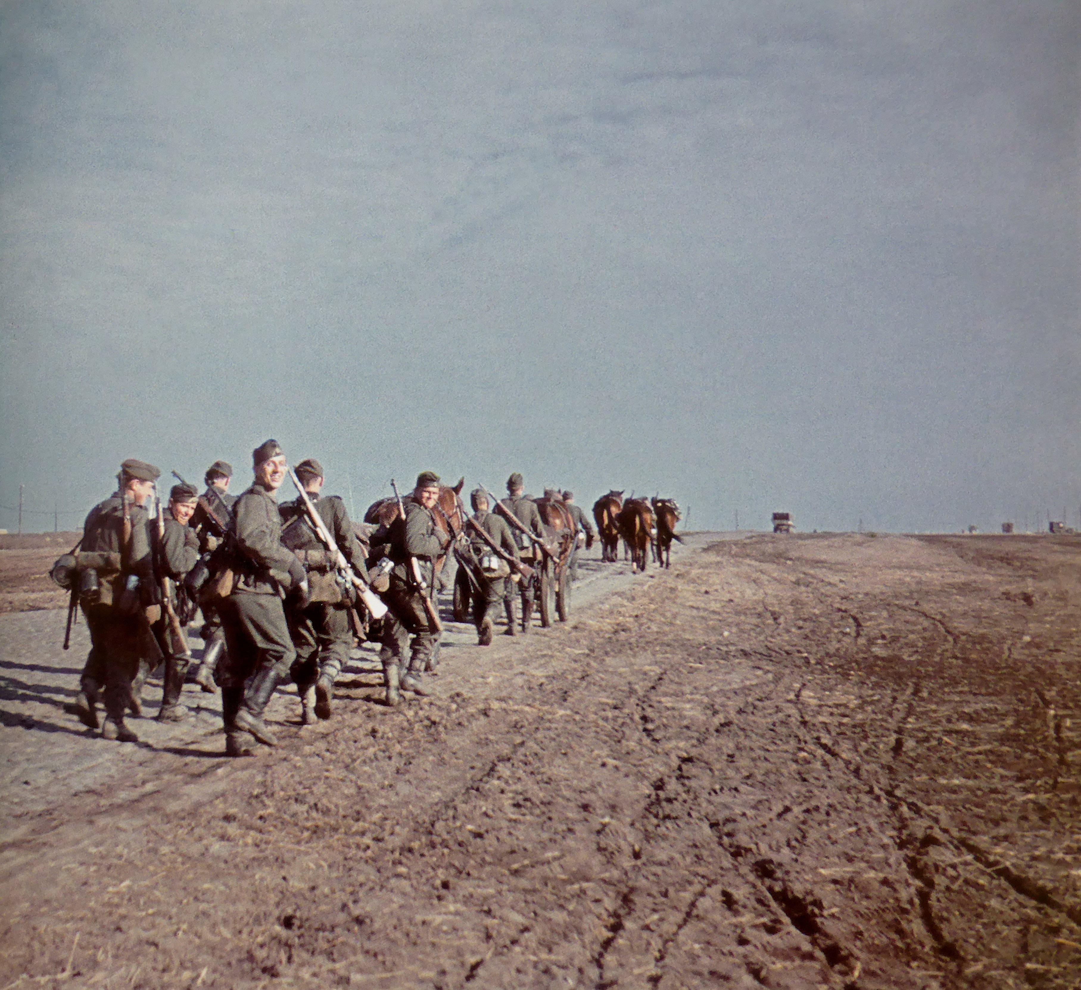 German Wehrmacht troops marching behind horse drawn wagons during the opening weeks of Operation ...