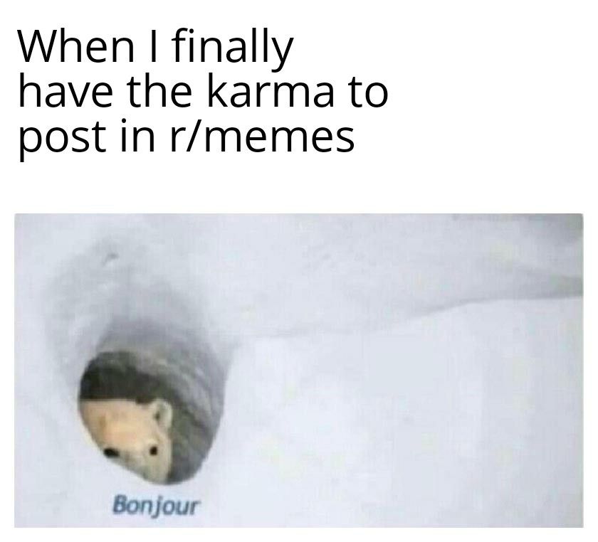 Get ready for some garbage memes | Scrolller