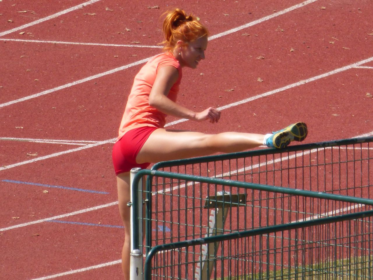 getting a nice stretch by the fence | Scrolller