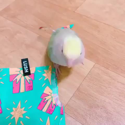 getting an upgrade | Scrolller