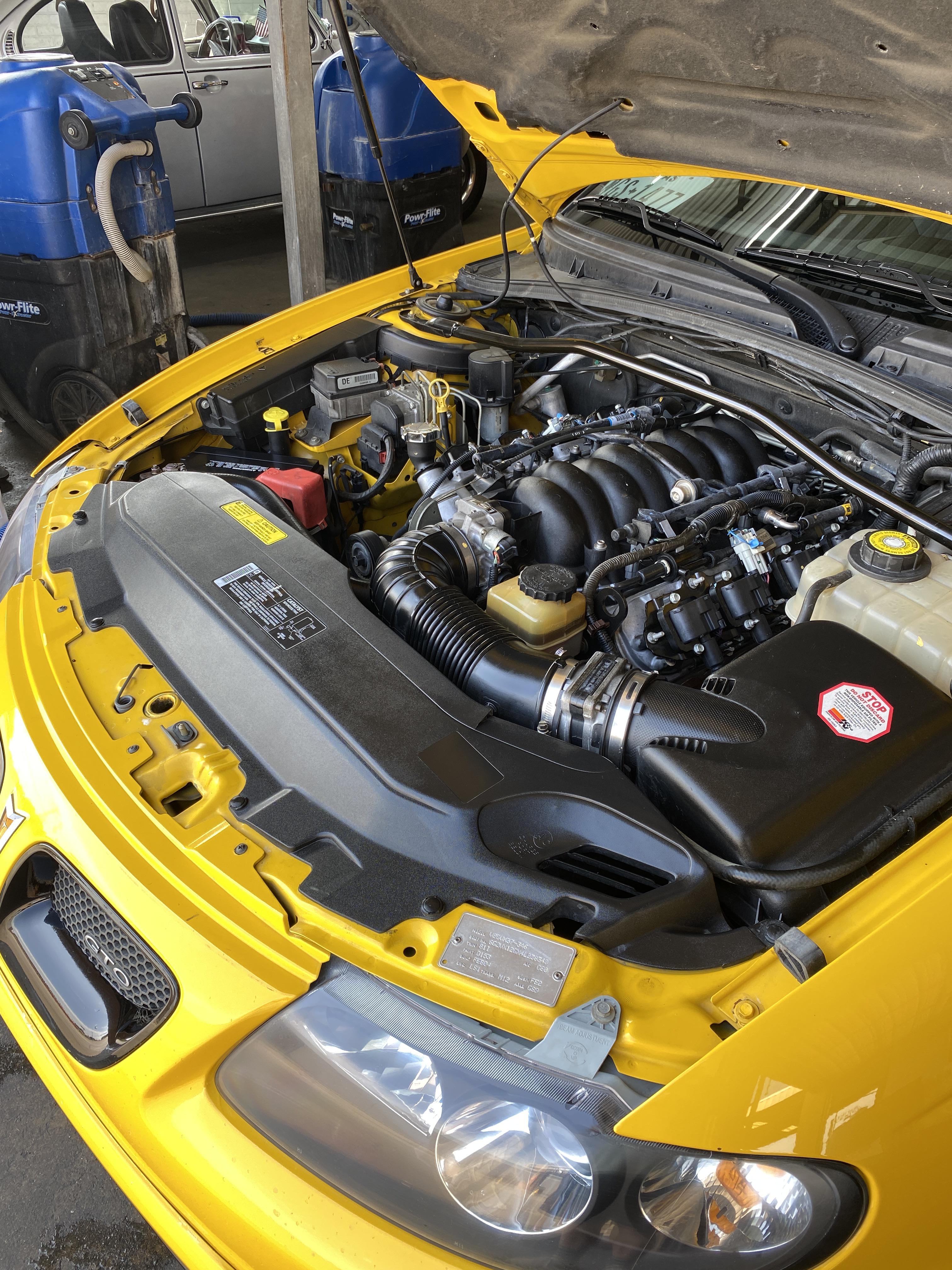 Getting her all cleaned up! | Scrolller