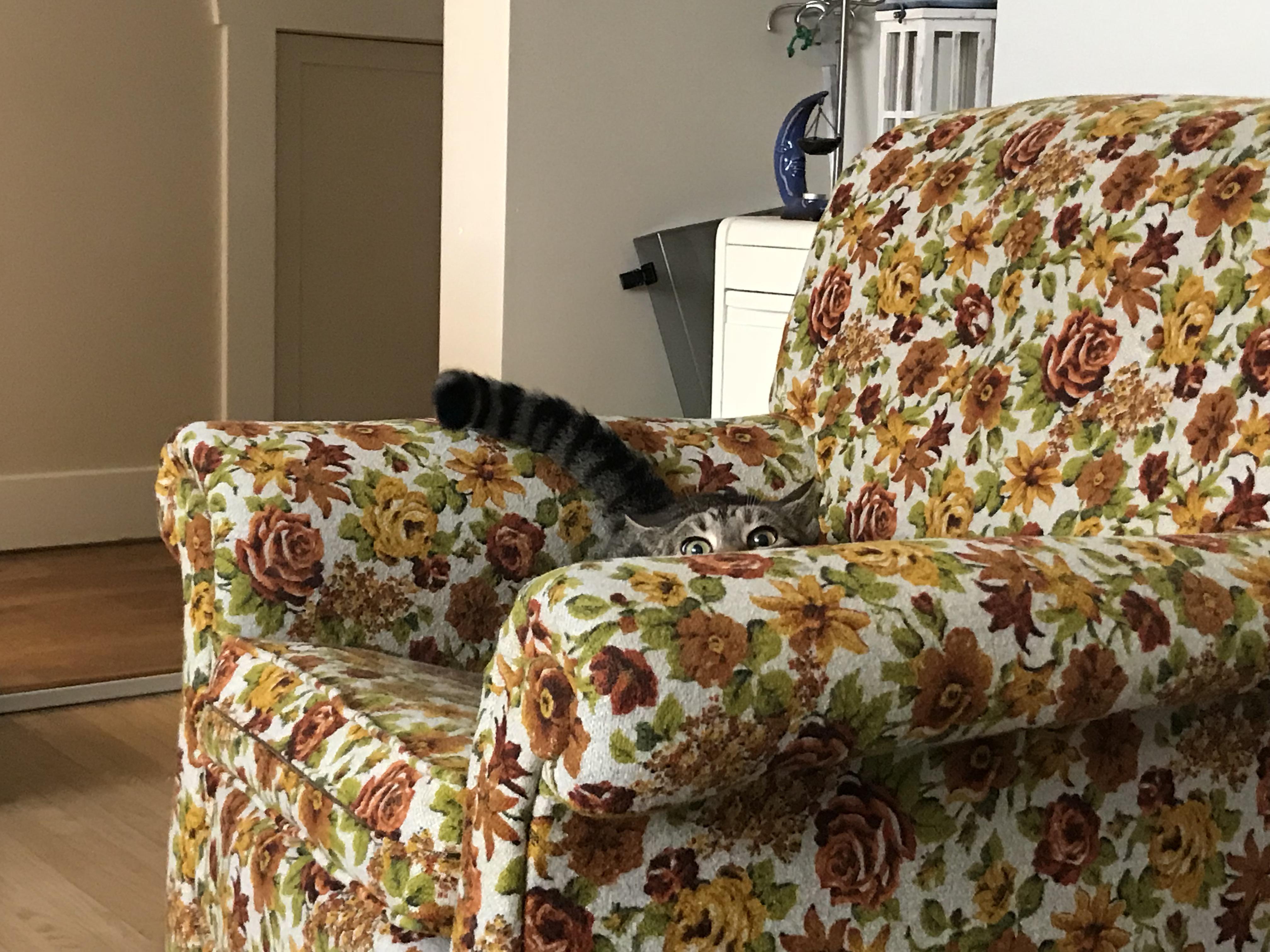 Getting ready for takeoff! | Scrolller