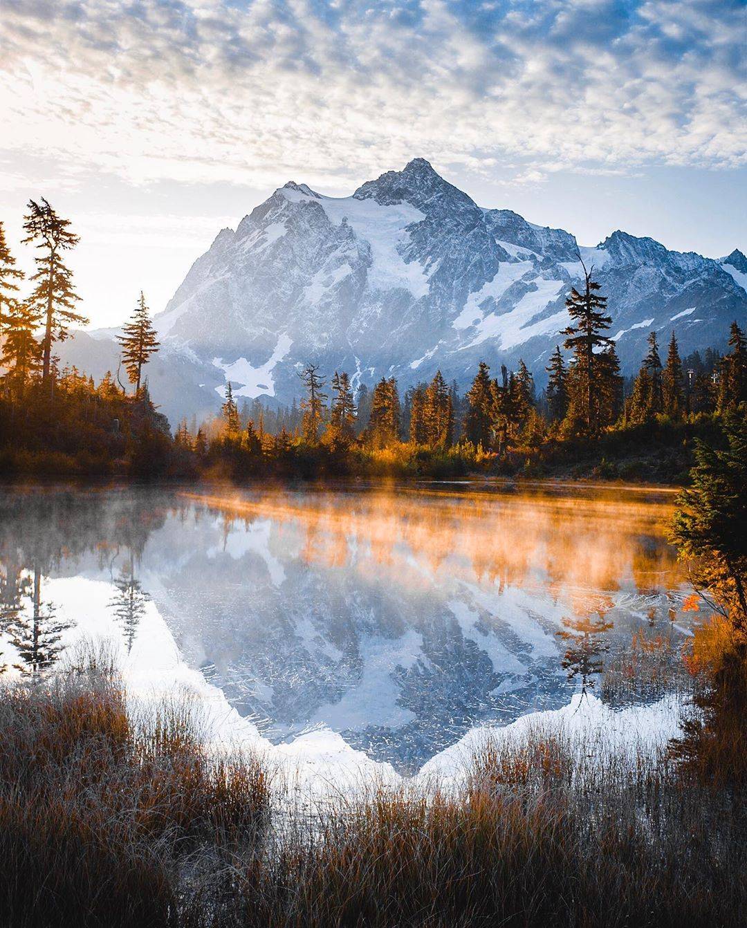 Getting some front page exposure | Scrolller