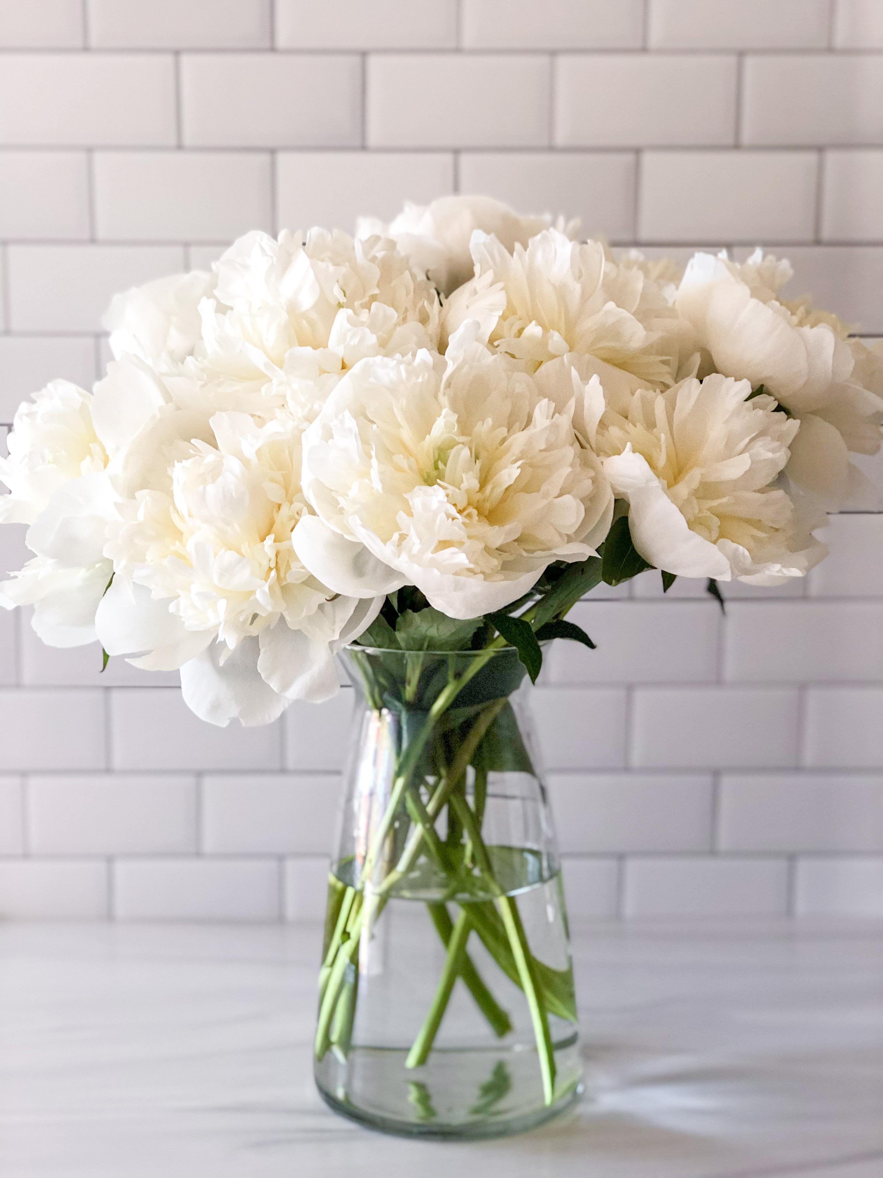 Getting to Trader Joe’s early yesterday means snagging the elusive white peonies! | Scrolller