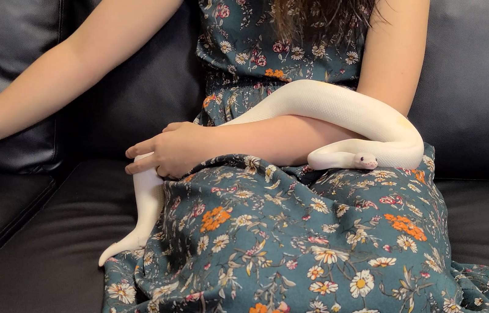 Gf was uncomfortable with snakes when we met. Not anymore. | Scrolller