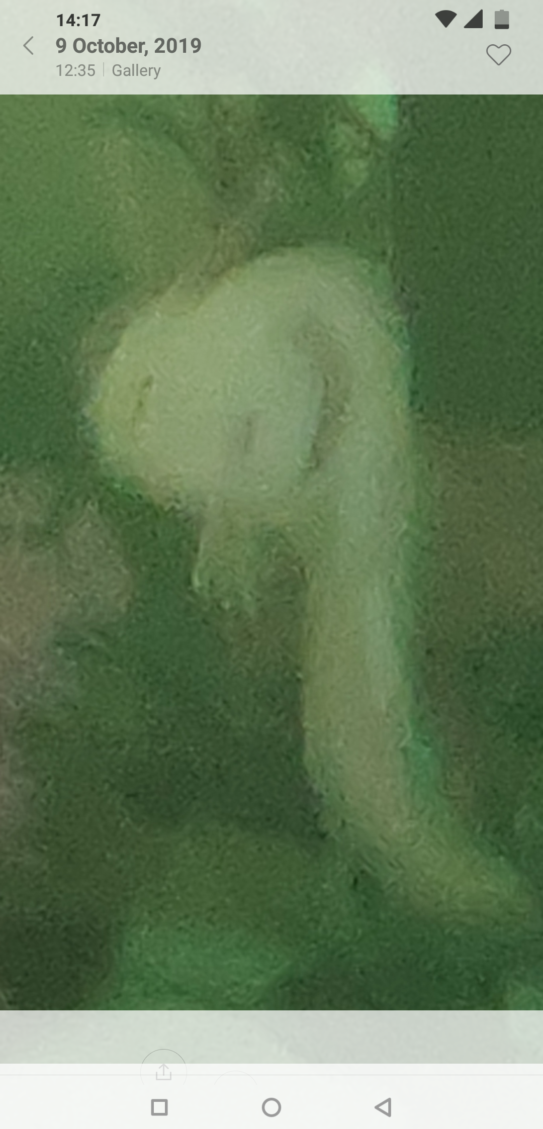 Ghost Phoebe | Scrolller