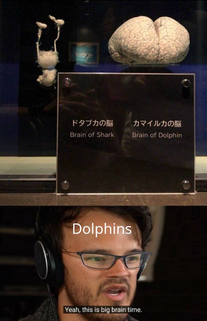 Giant brain | Scrolller