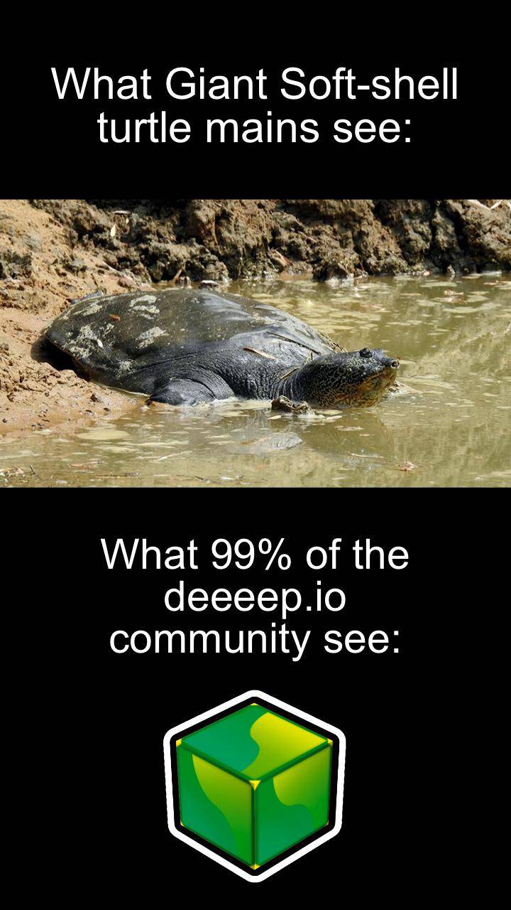 Giant Soft-shell Turtle | Scrolller