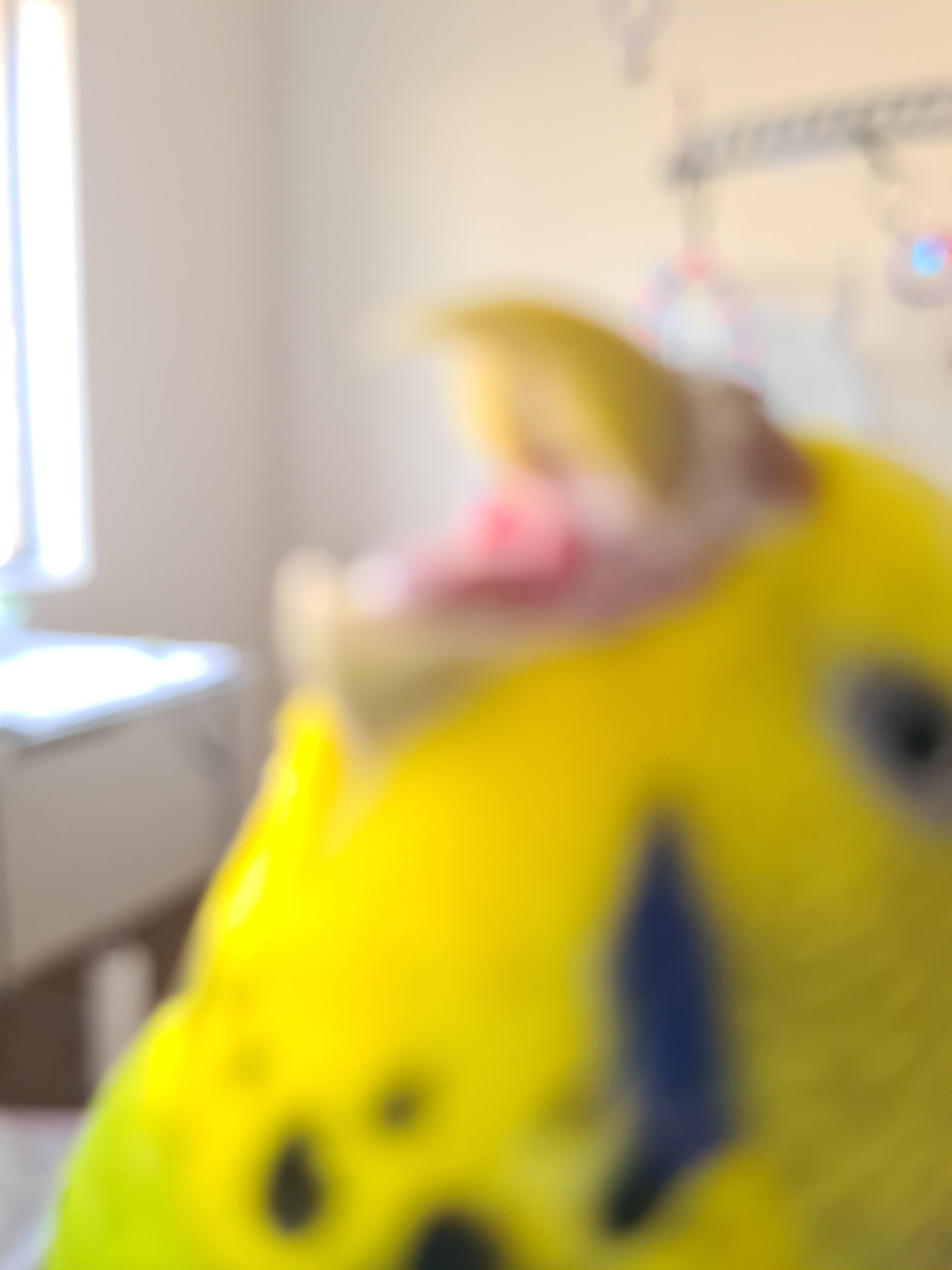 GIB ME SEEEEEEEEEED! | Scrolller