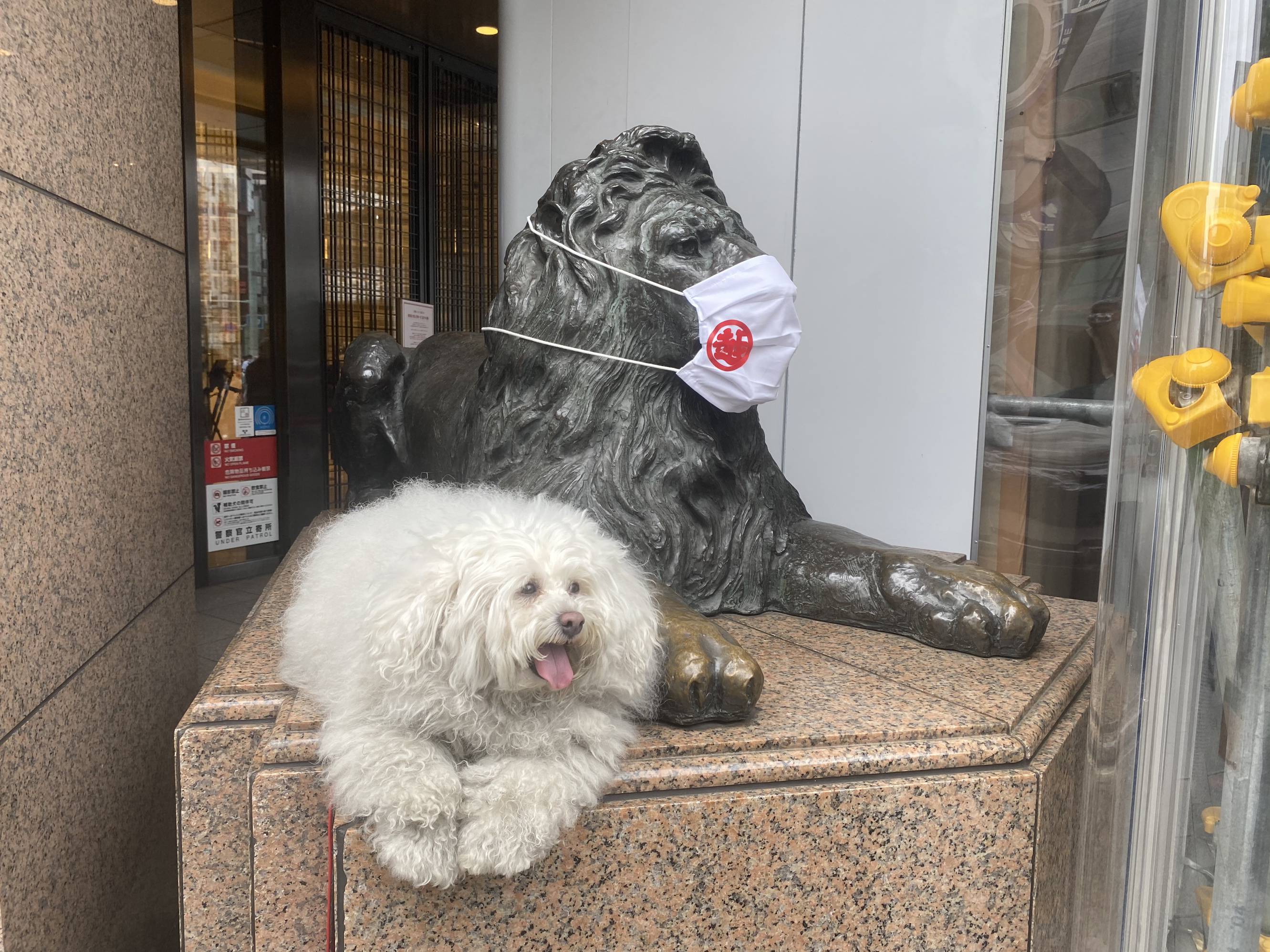 Ginza back to normal | Scrolller