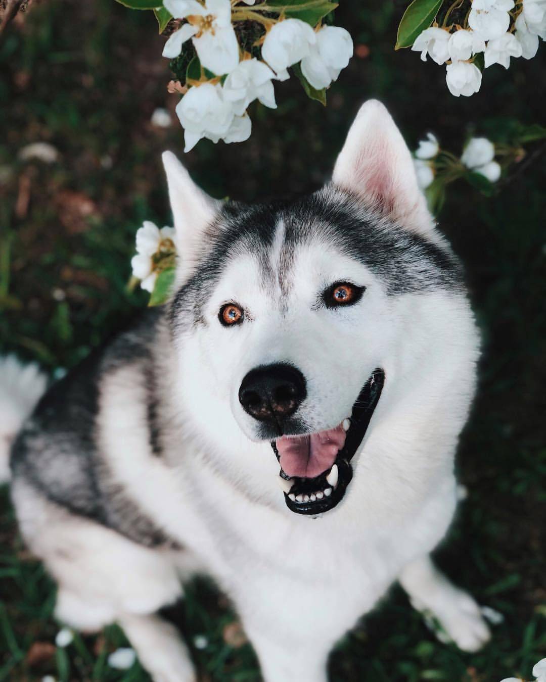 "Give me a hug" | Scrolller