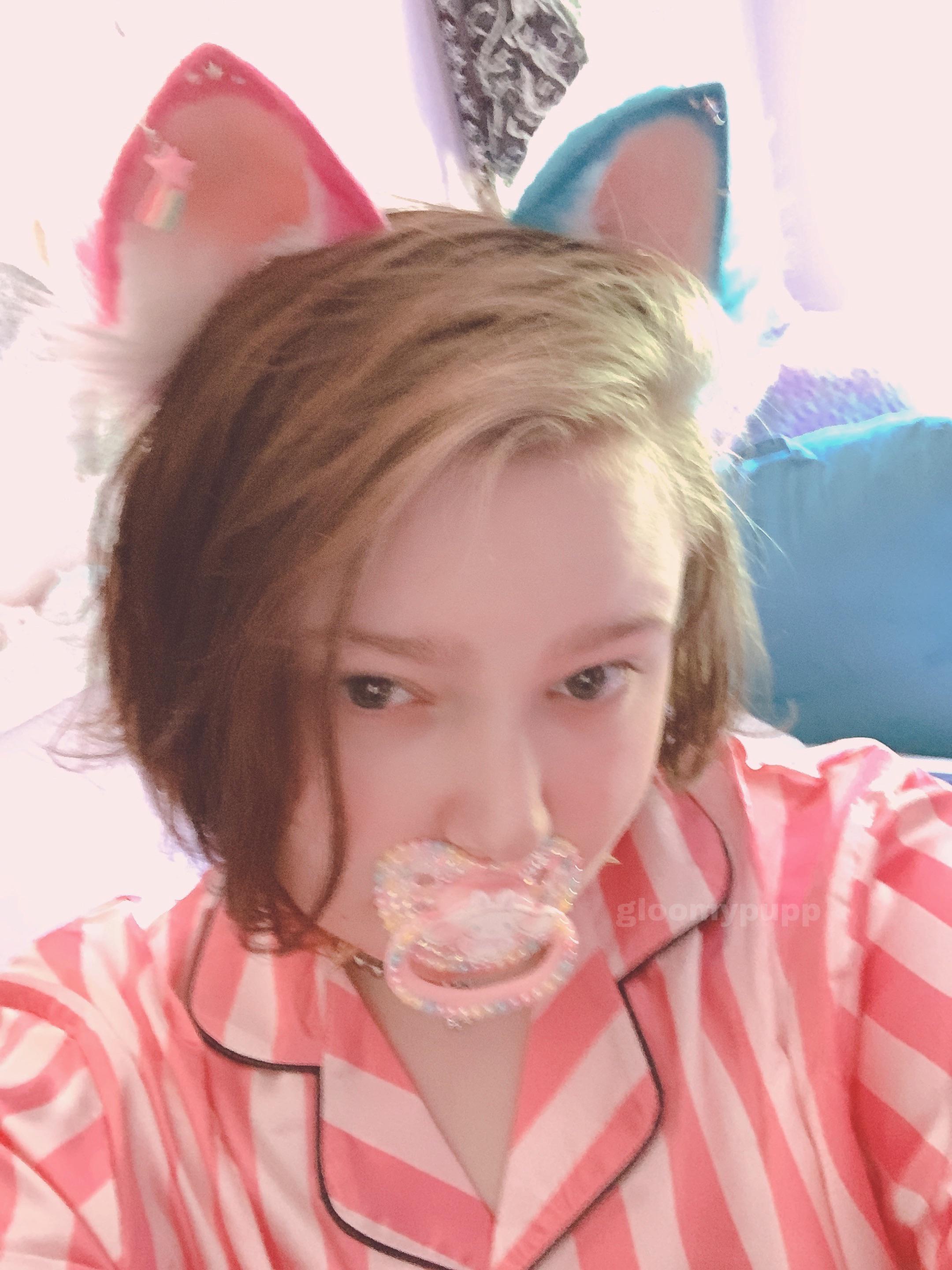 gloomy…kitten??? | Scrolller