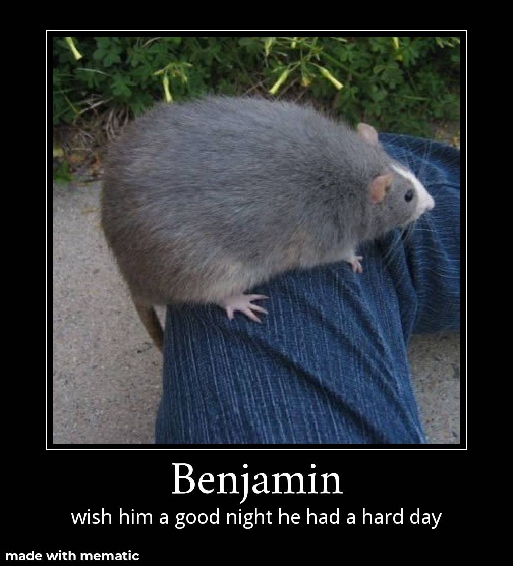 Gn Benjamin | Scrolller