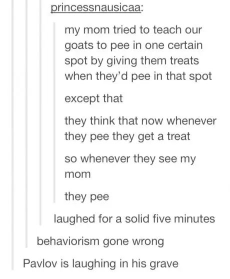 goat conditioning gone wrong | Scrolller