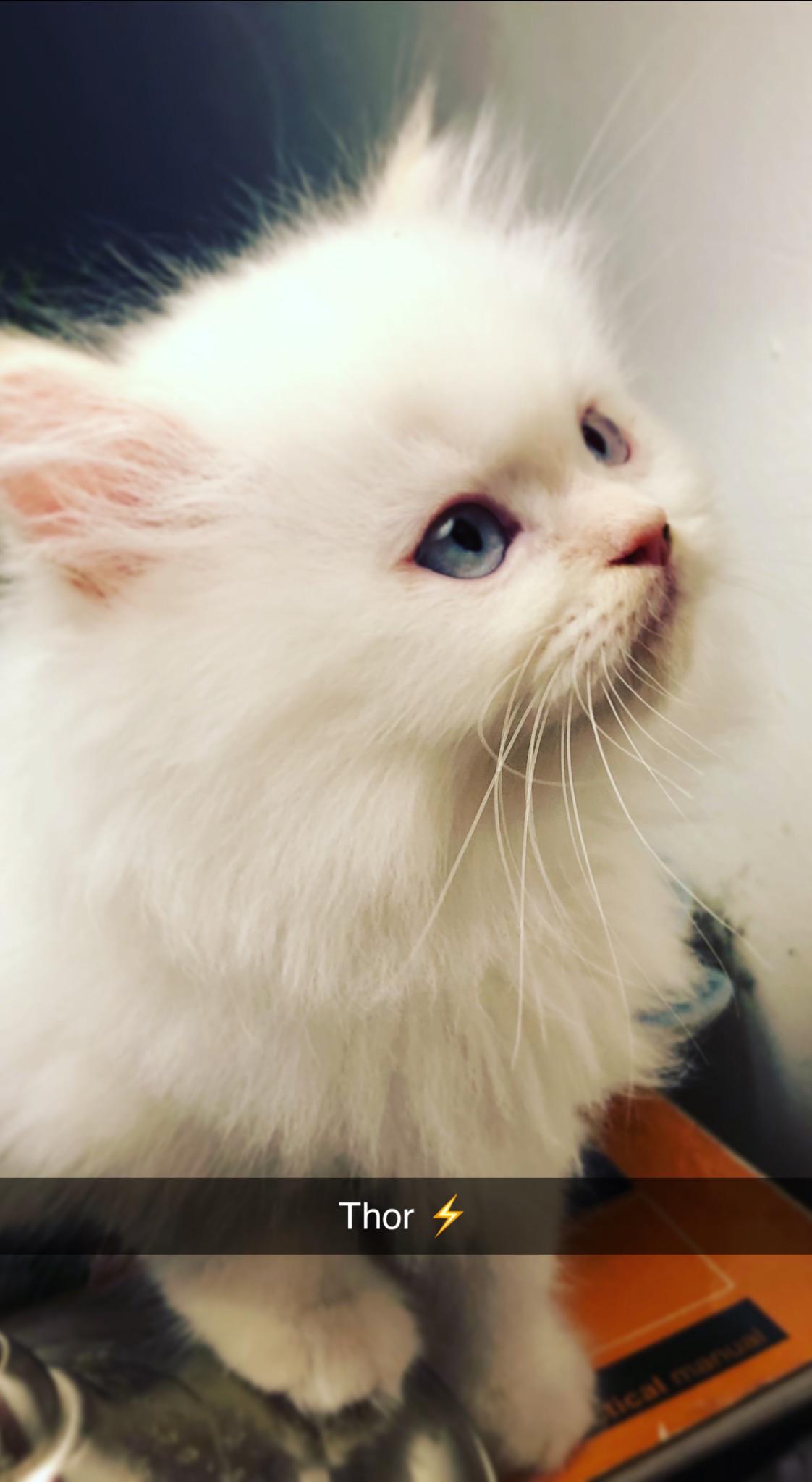 God of thunder | Scrolller