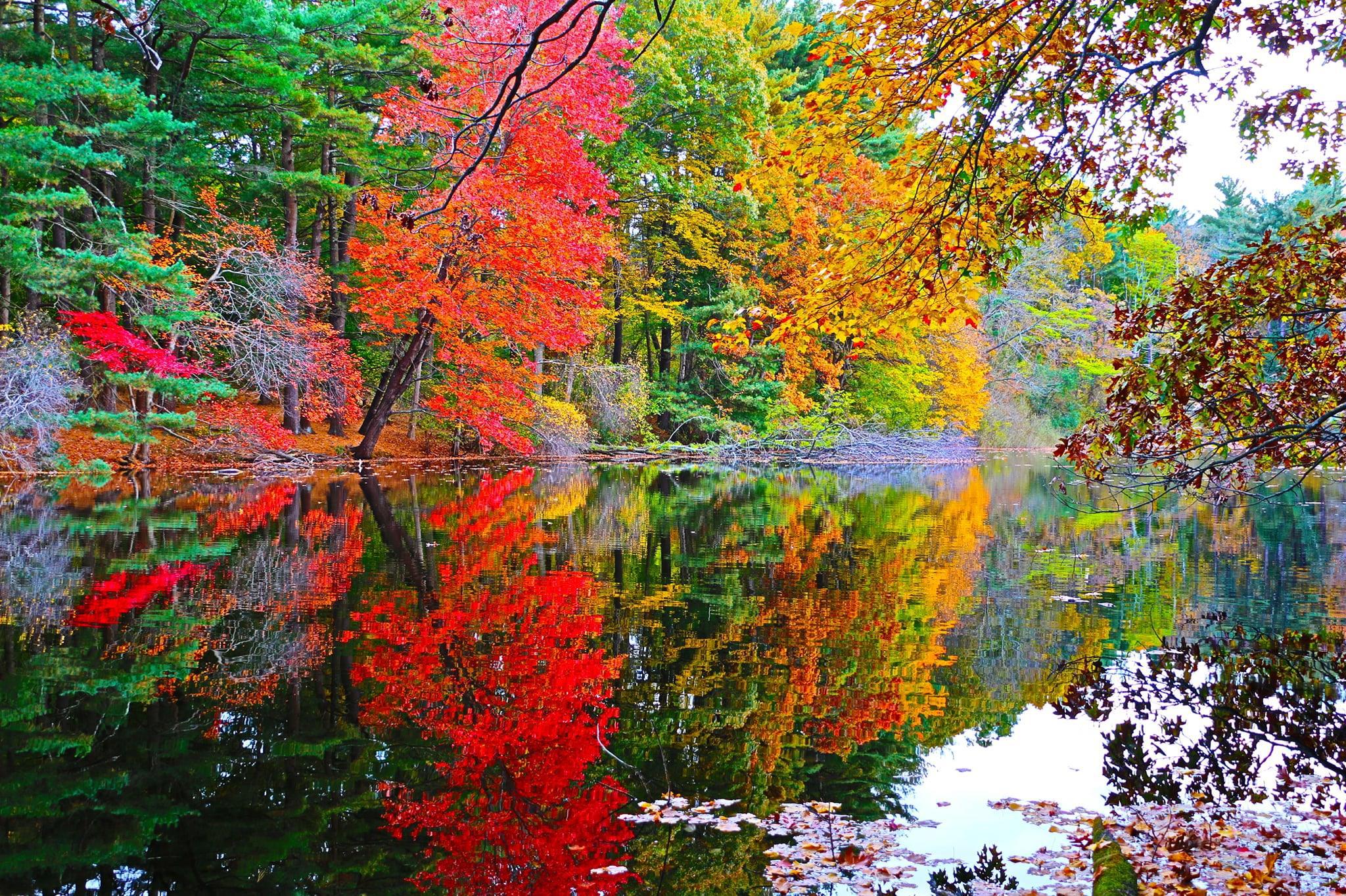 Goddard Park... | Scrolller